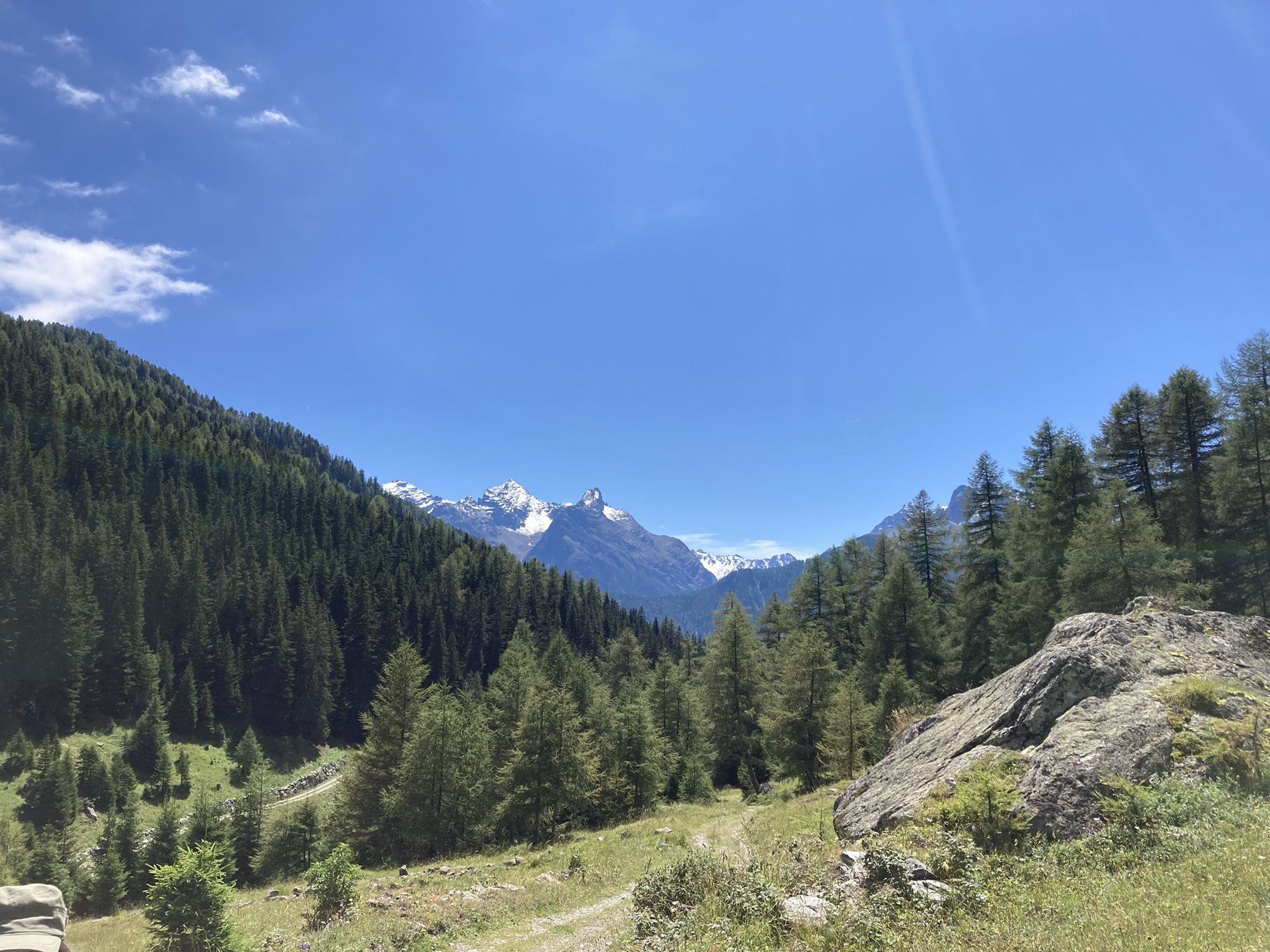 Von Ardez über die Alp Laret nach Ftan - BERGFEX - Wanderung - Tour ...