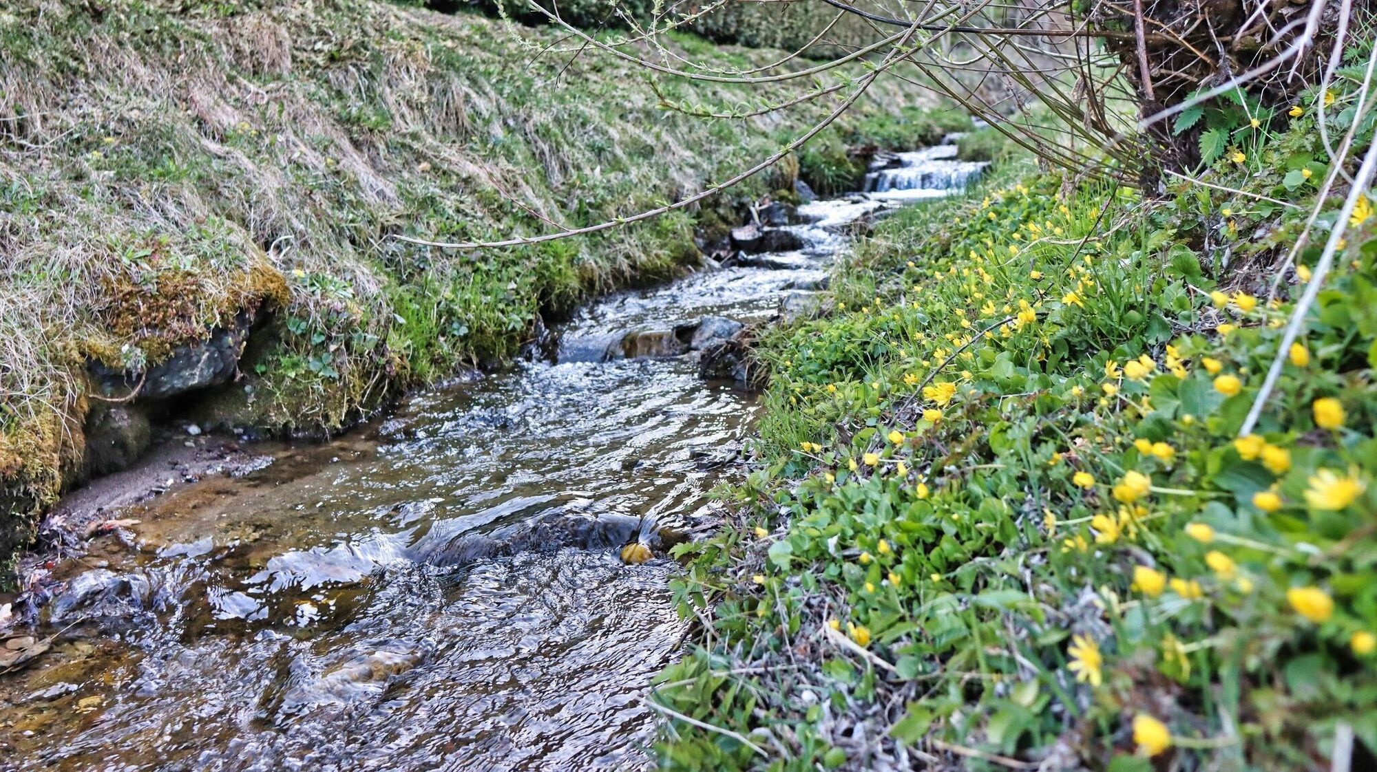 Auf der Höh´ über Rattenberger Graben - Wanderung Steiermark - bergfex