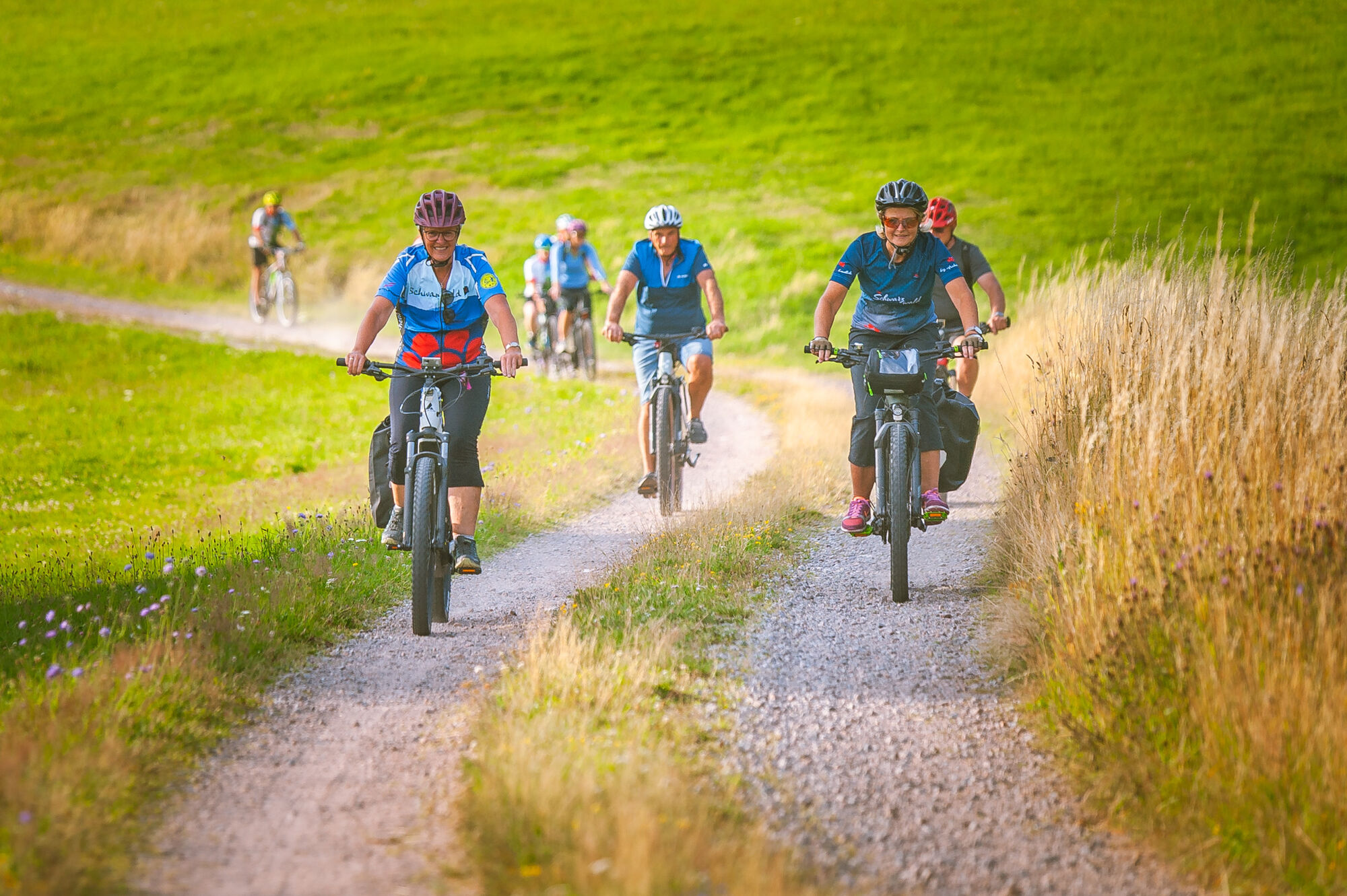 Dachsberg-Ibach: E-Bike- oder Rad-Tour - BERGFEX - Radfahren - Tour ...
