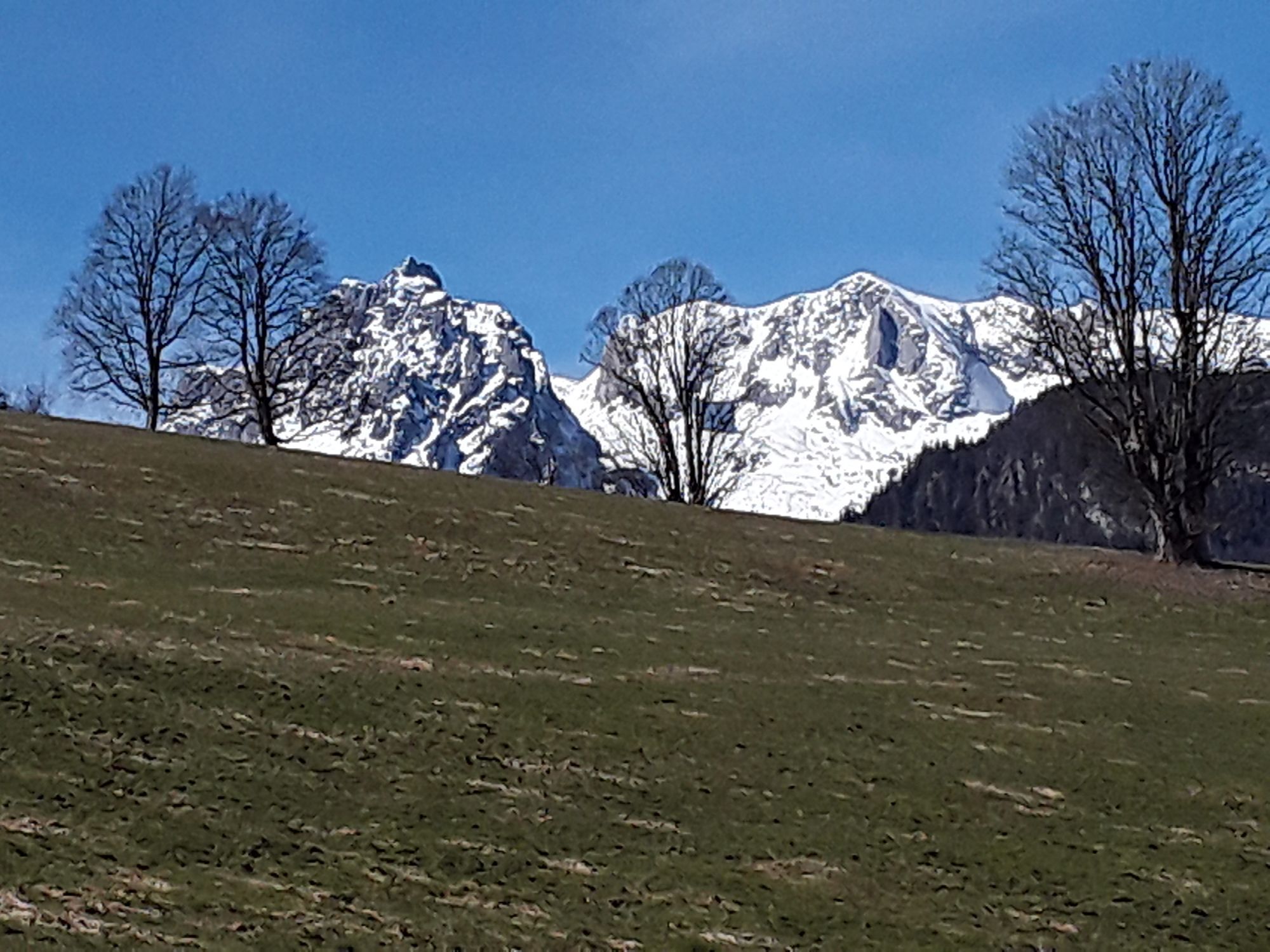 Bischofshofen Buchberg - BERGFEX - Wanderung - Tour Salzburger Land