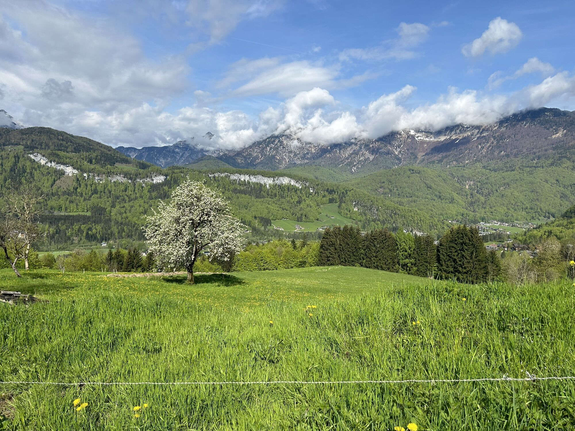 Bad Goisern über Ewige Wand auf Predigstuhl RDW - BERGFEX - Wanderung ...