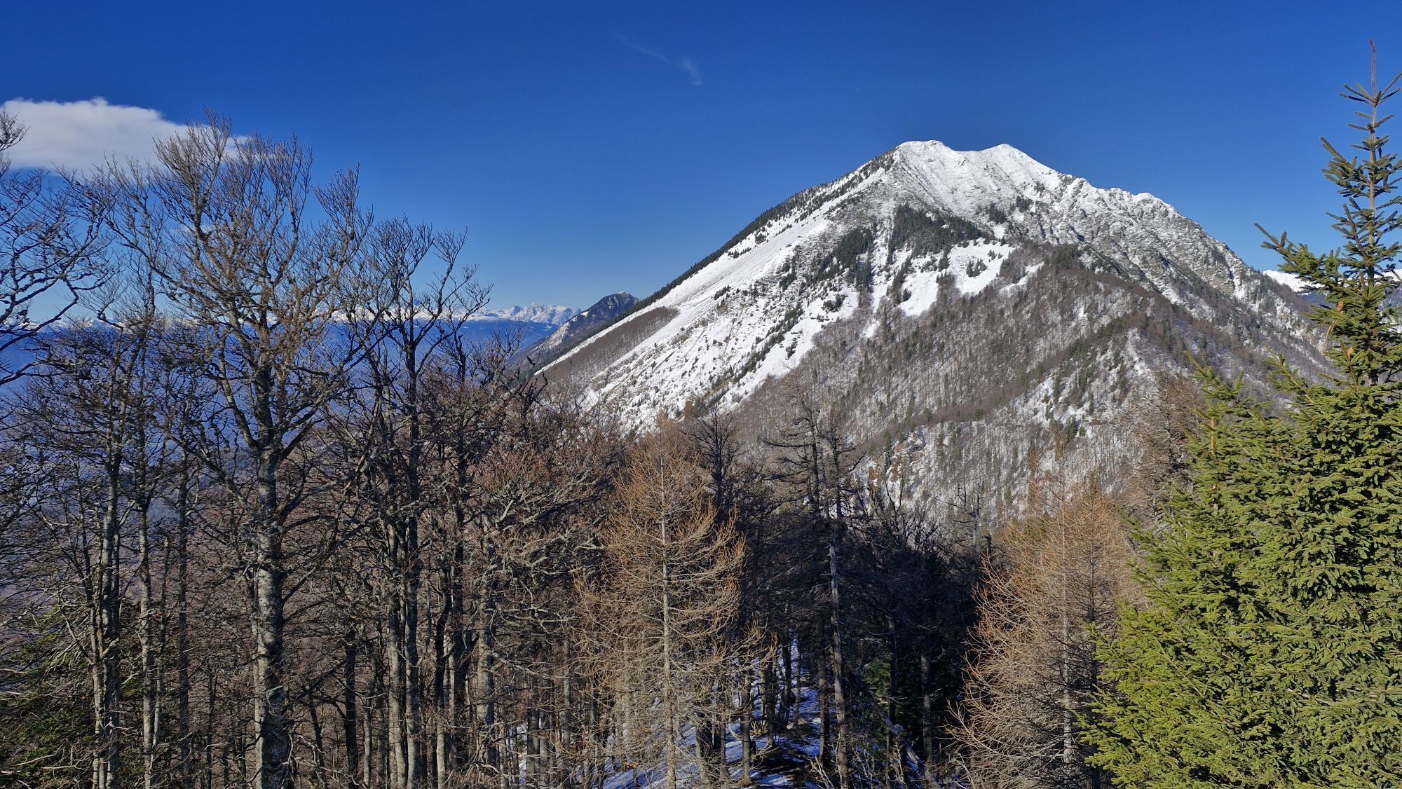 Preddvor - Sv. Jakob - Javorov vrh - Hrib - Wanderung Gorenjska - bergfex