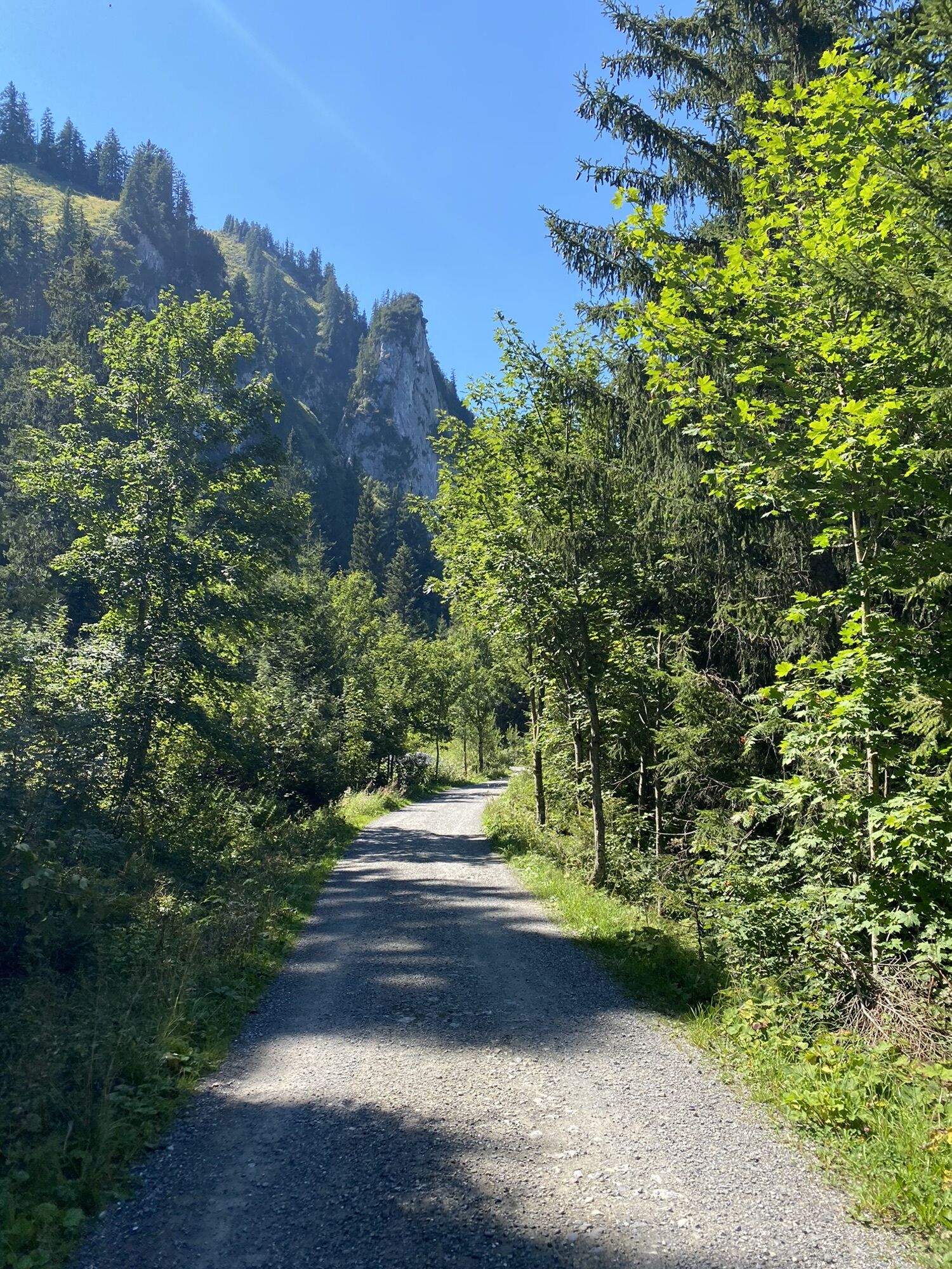 Schöner Mann Alpe über Karren und Schuttanen - BERGFEX - Wanderung ...