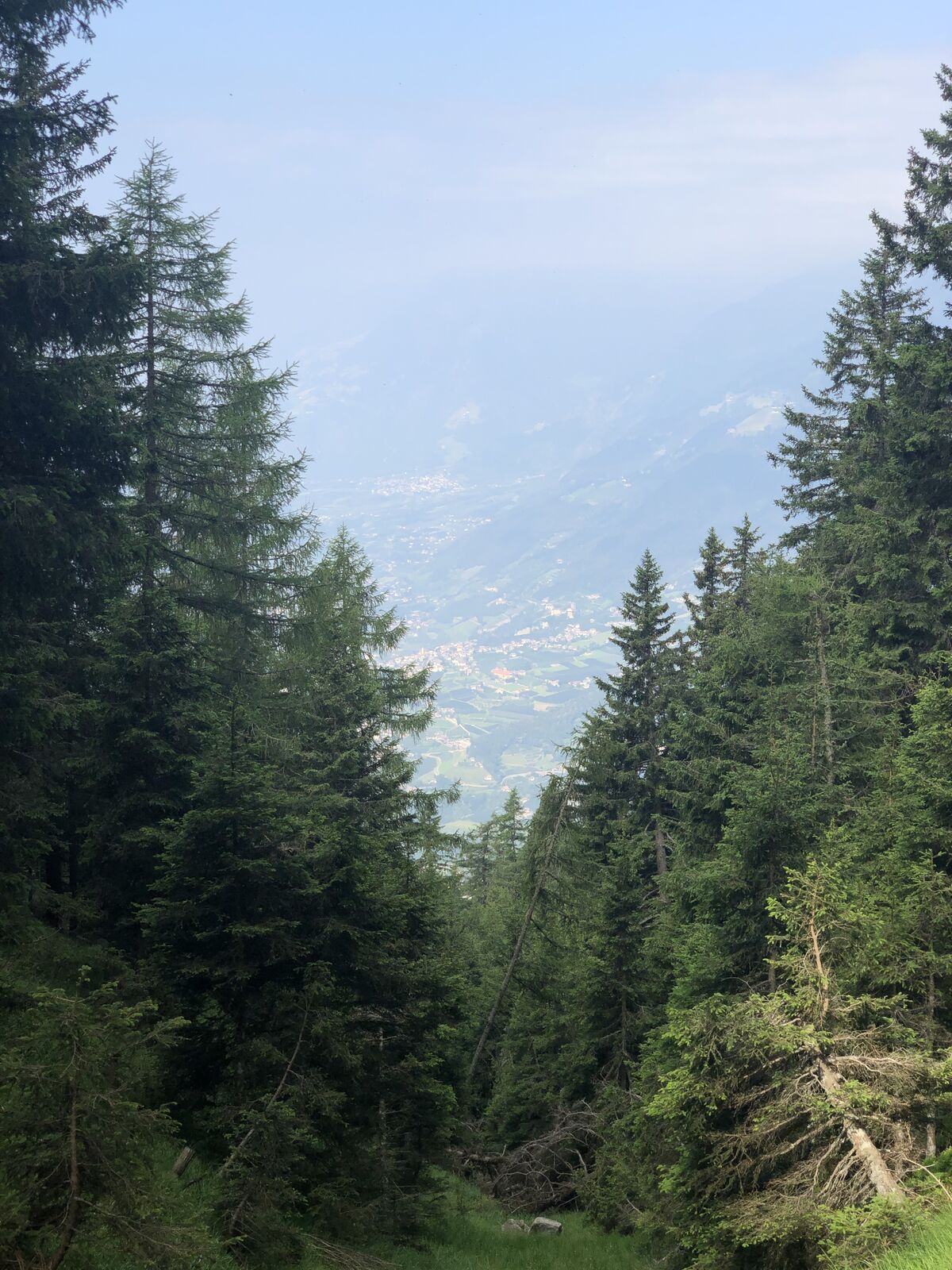Schenna - Scenna Taser Ifingerhütte Alto Adige/Südtirol/Italia ...