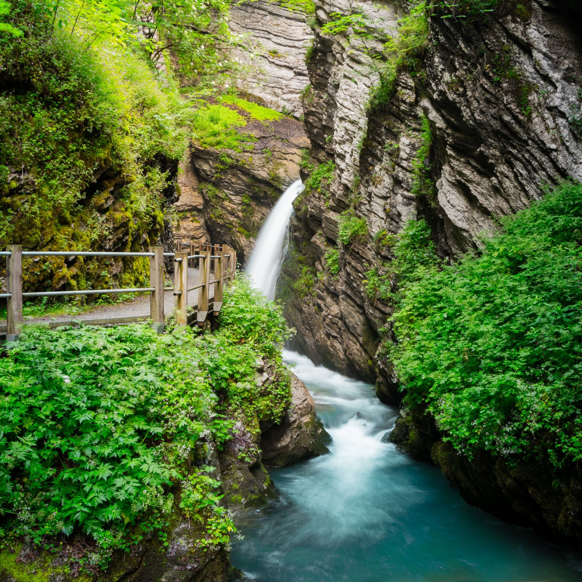 Walk to the Thur waterfall - Pohodništvo Ostschweiz - bergfex