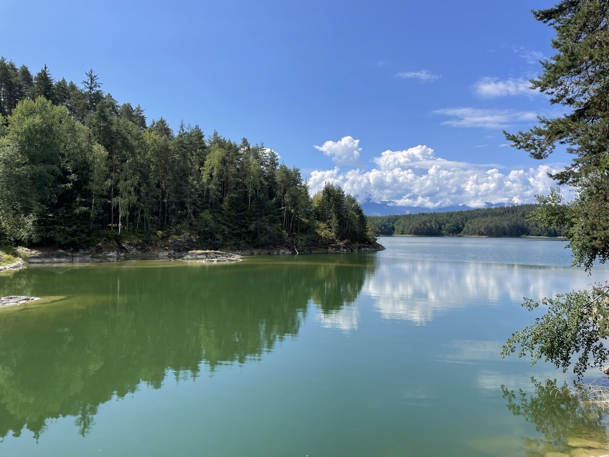 Forstsee Runde mit Abstecher zur Josefikapelle - BERGFEX - Wanderung ...