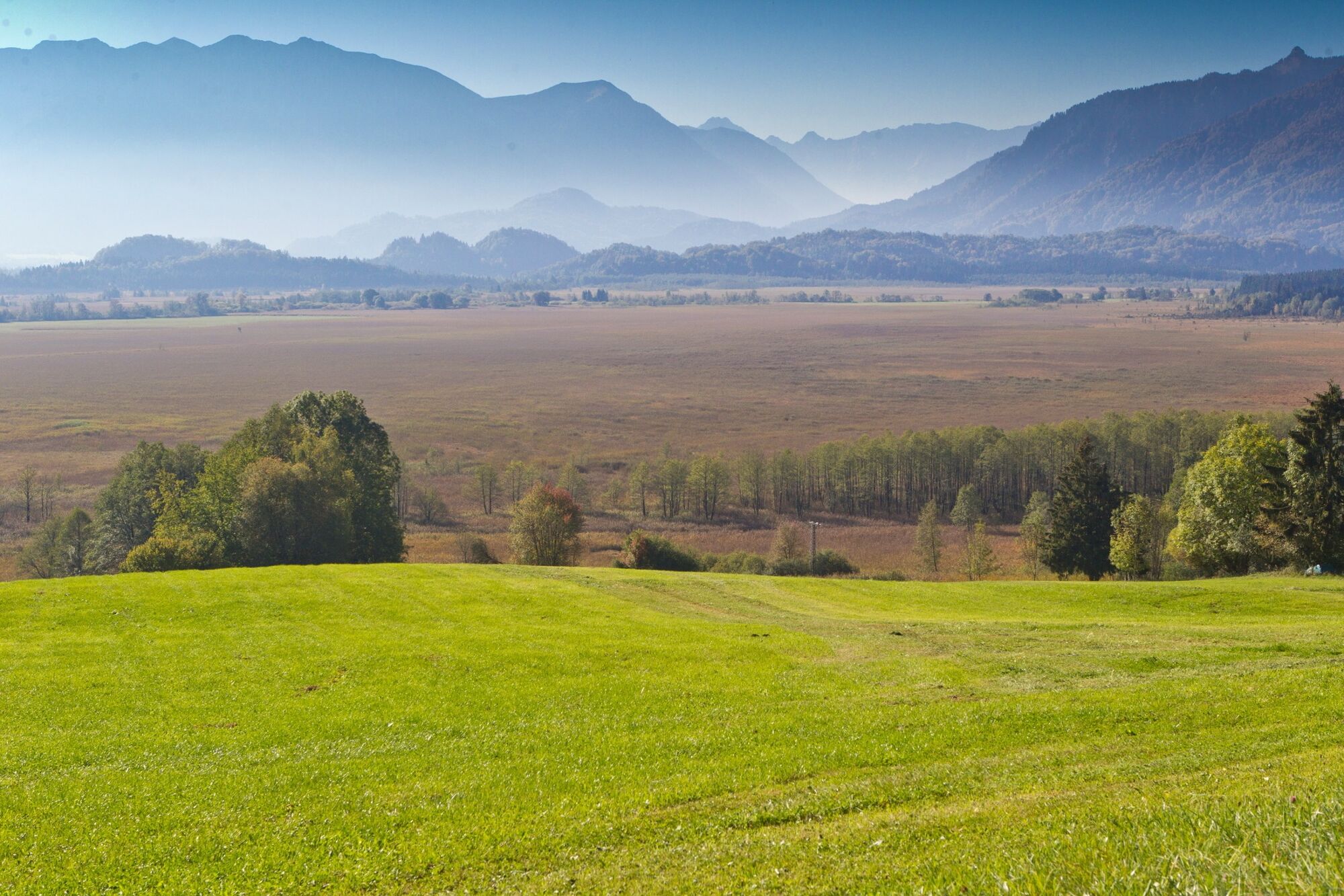 Rundwanderung Murnauer Moos Runde - BERGFEX - Wanderung - Tour Bayern
