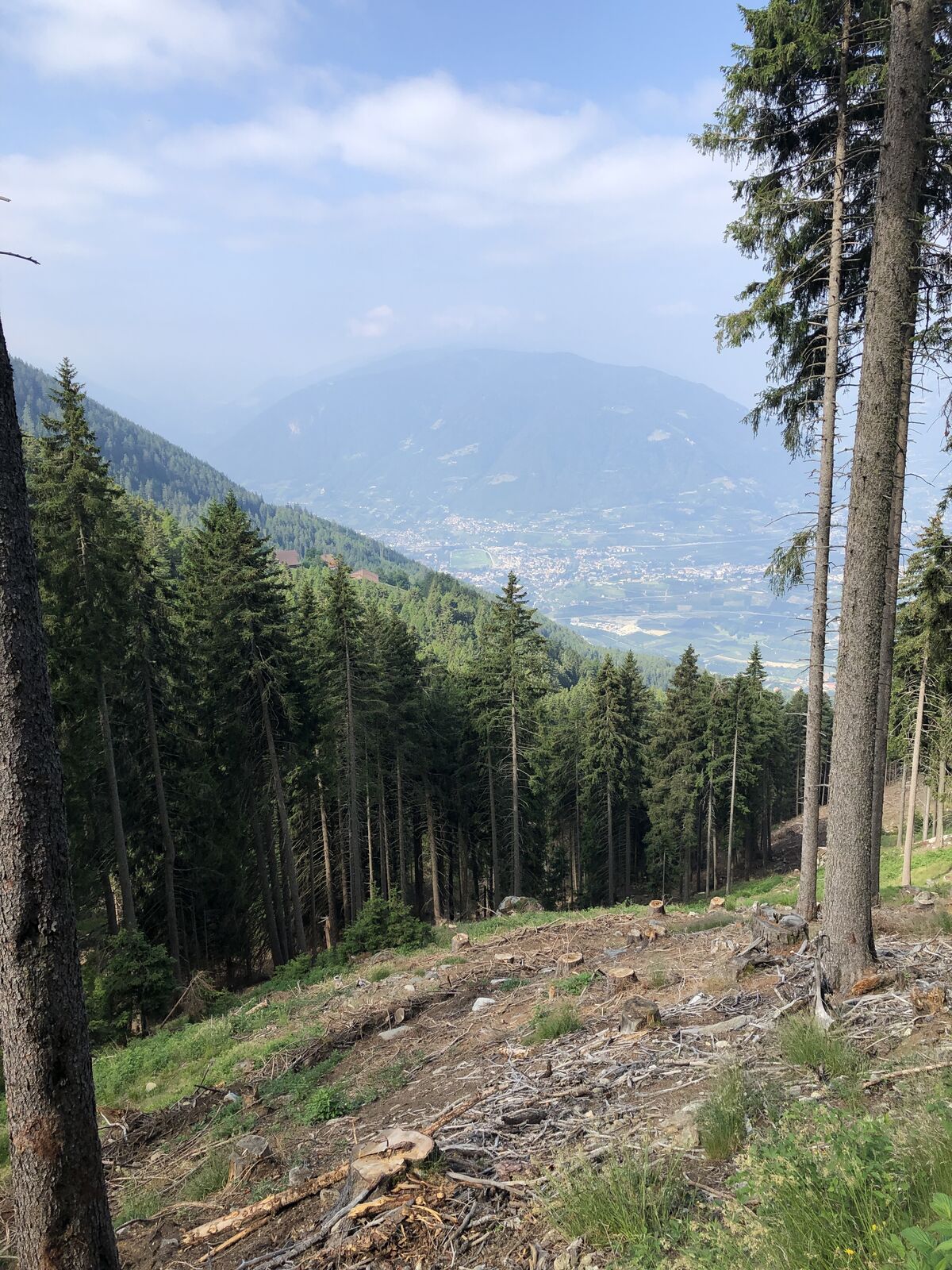 Schenna - Scenna Taser Ifingerhütte Alto Adige/Südtirol/Italia ...