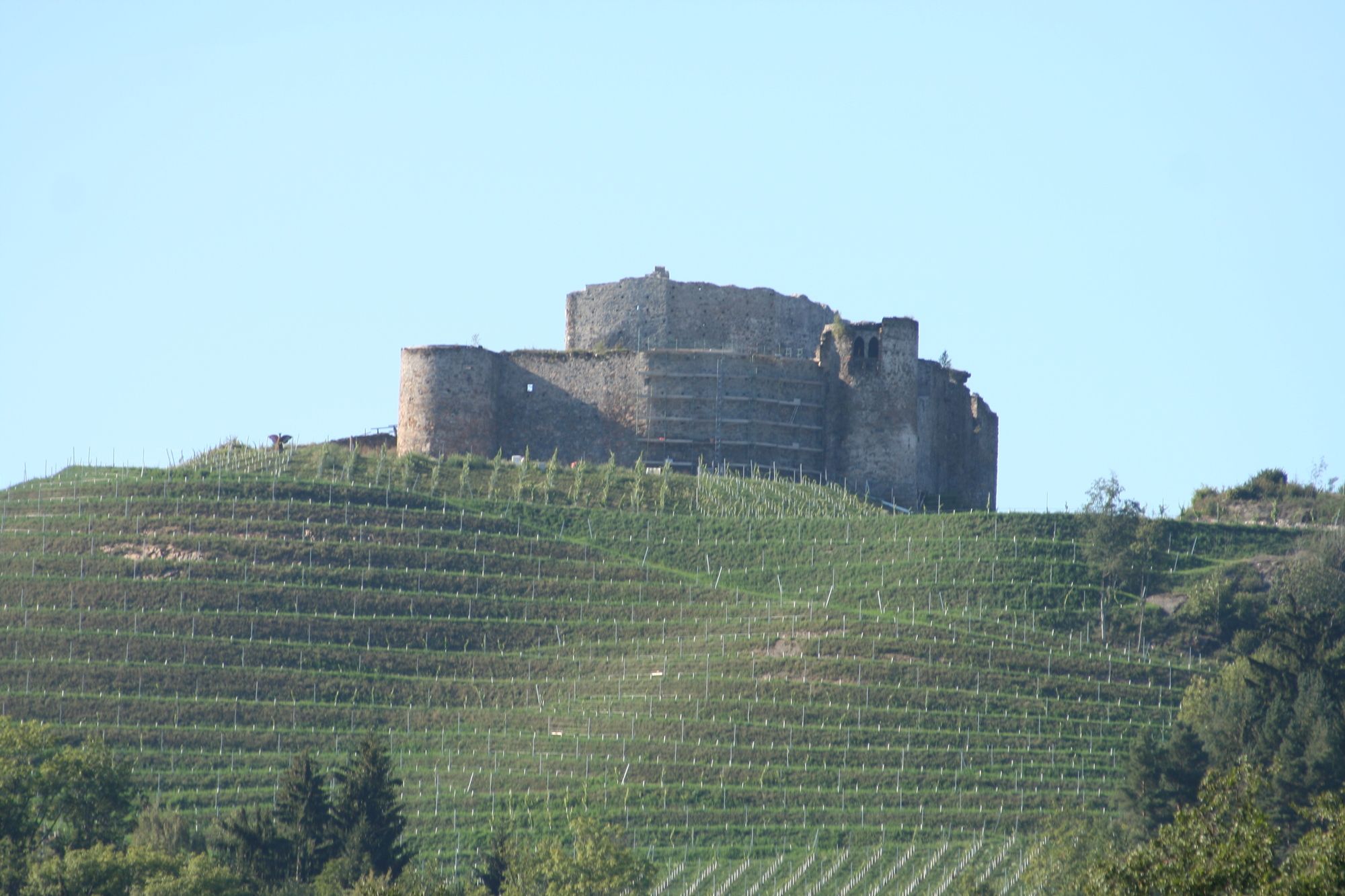 Weingut "Burg Taggenbrunn" - BERGFEX - Wanderung - Tour Kärnten