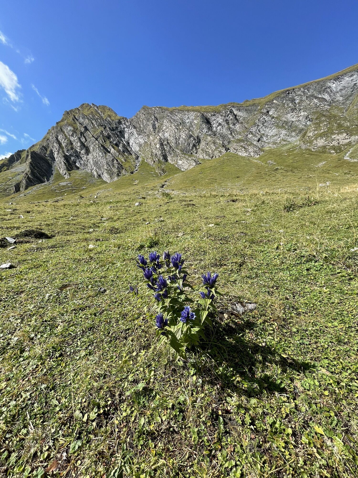 Sommerbergalm-Tuxer Joch-Weitental-Bichlalm-Madseit - BERGFEX ...