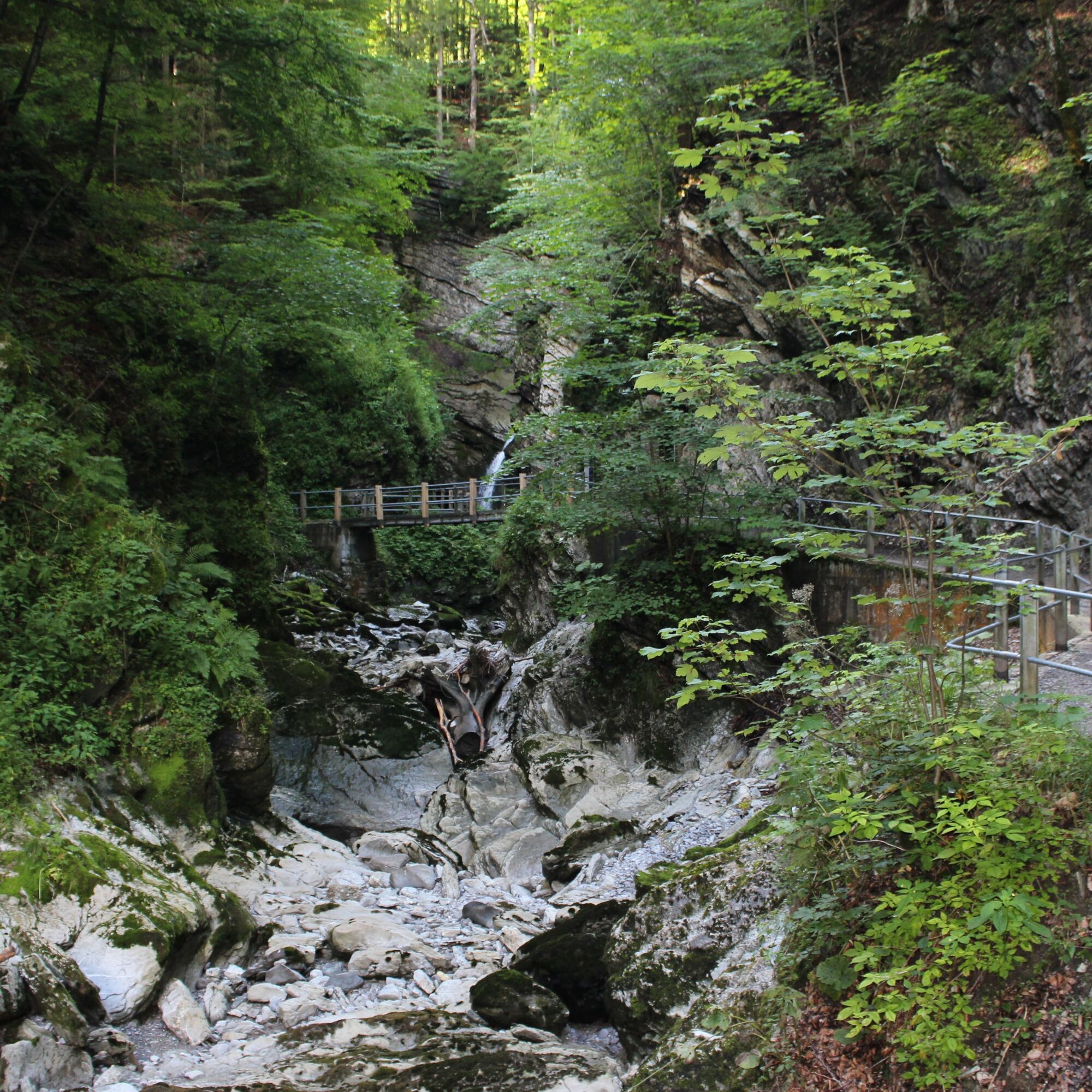 Walk to the Thur waterfall - Pohodništvo Ostschweiz - bergfex