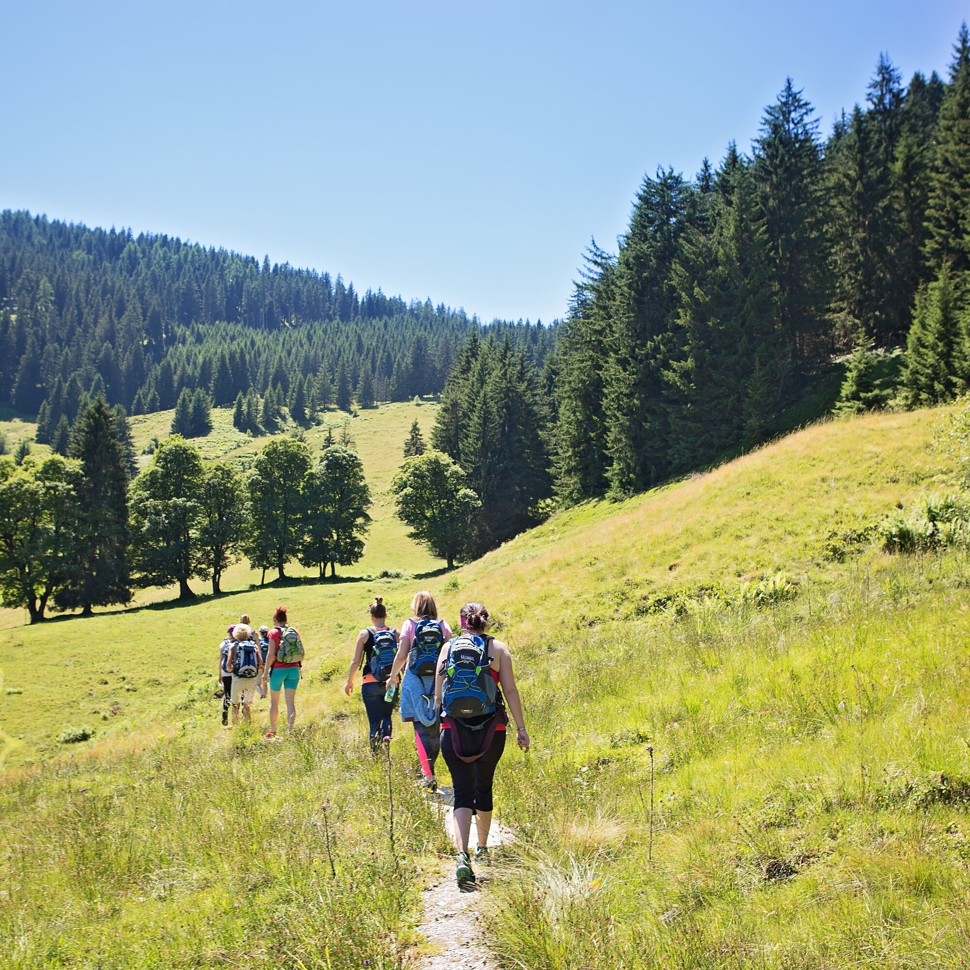 Möser Rundweg - Wanderung Salzburger Land - bergfex