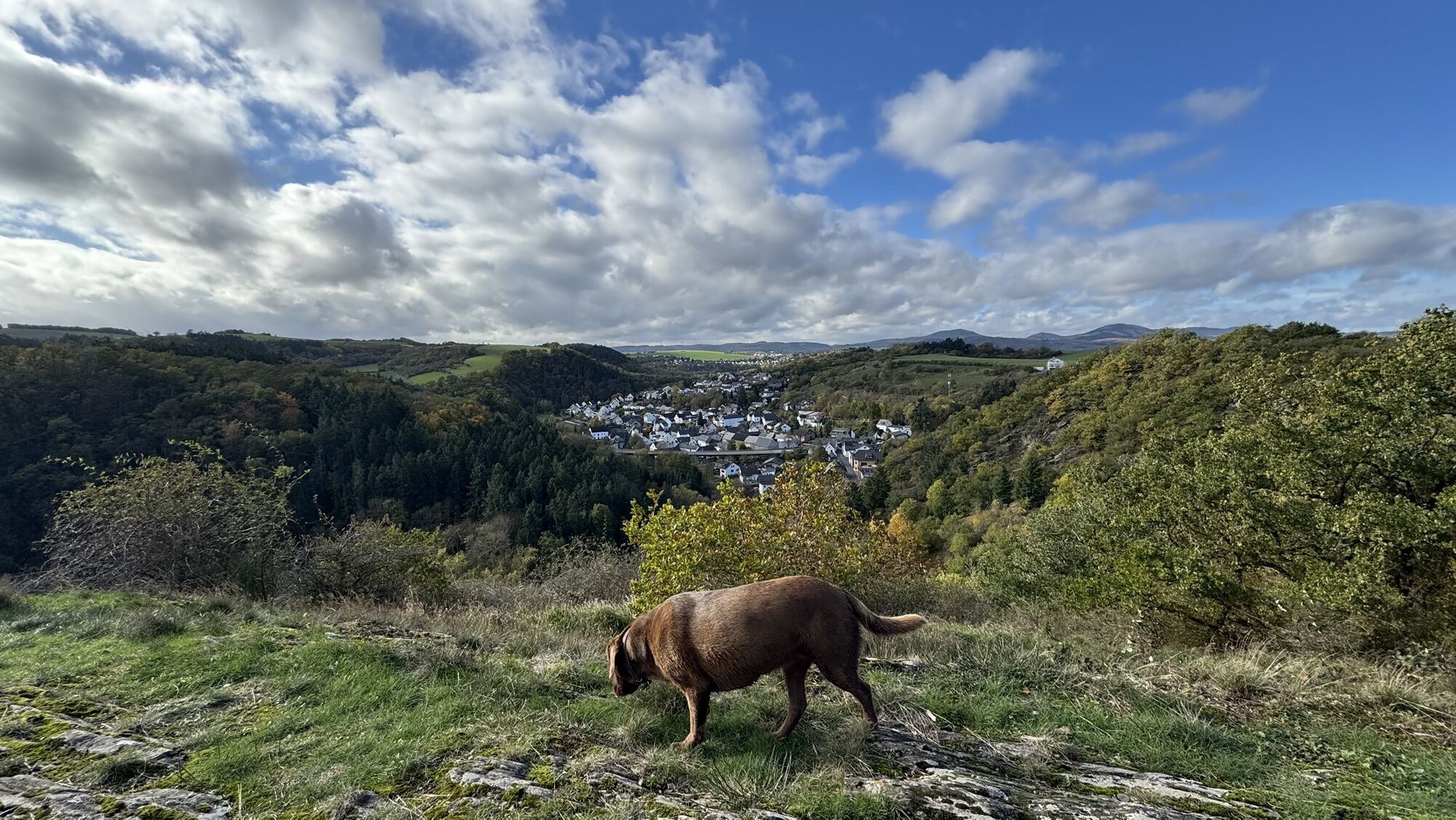 Welling - Stollen der ehem. Schiefergrube "Fuchsloch" - Mühlenberg ...