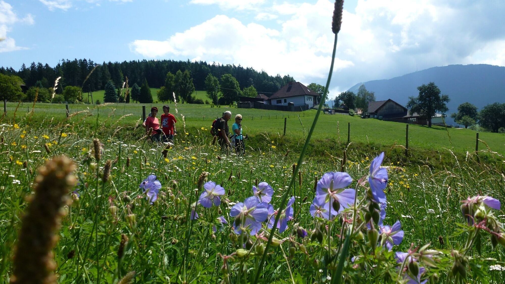 R3 Gr. Panoramarundweg - Wanderung Steiermark - bergfex
