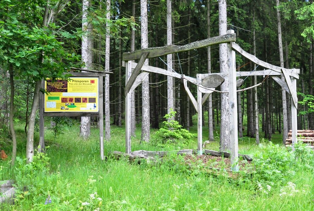 Circular hiking trail - Mushroom experience trail Gräfenwarth ...