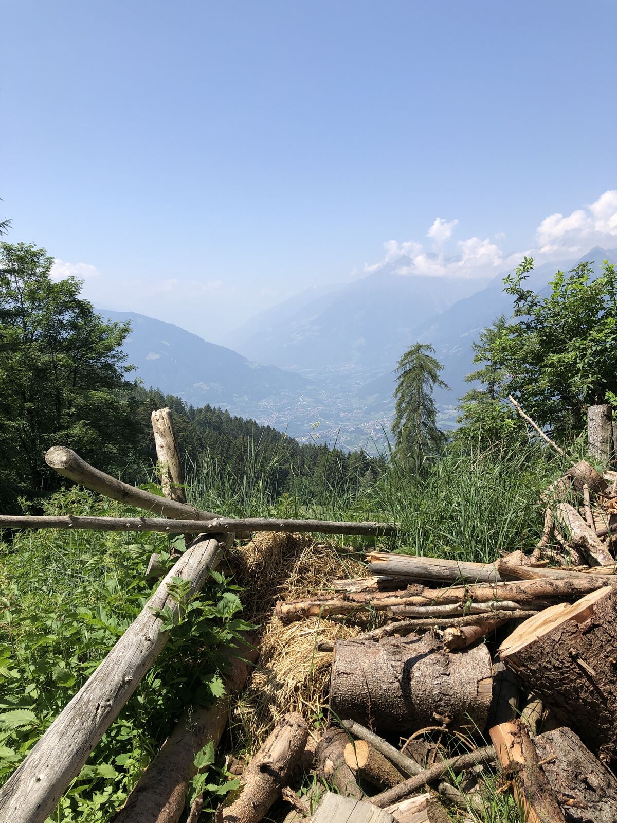 Schenna - Scenna Taser Ifingerhütte Alto Adige/Südtirol/Italia ...