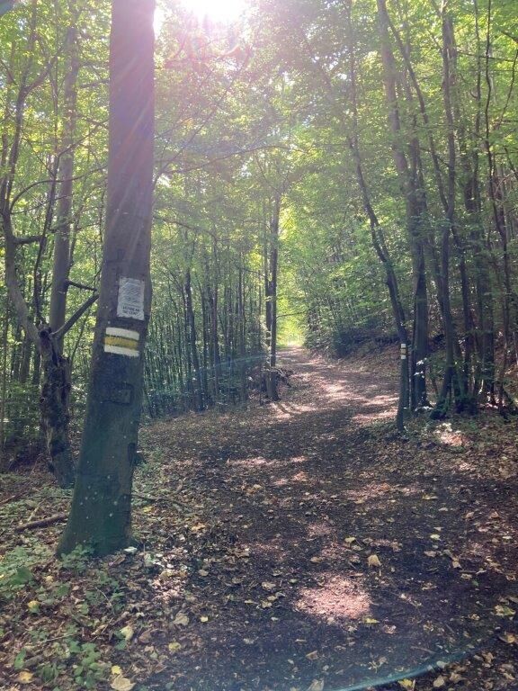 Further farm shop enjoyment hike - Tematska pot Dolnja Avstrija - bergfex