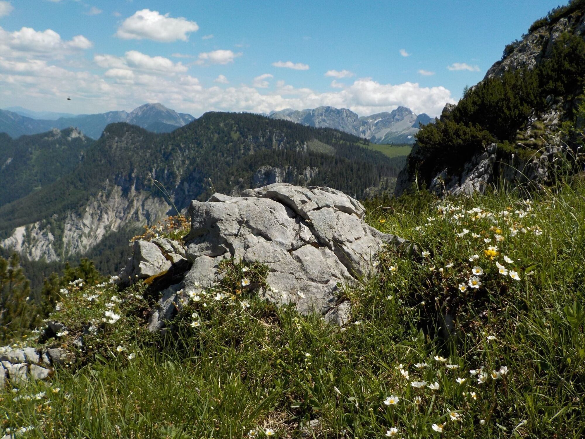 Gr. Geiger in Hinterwildalpen - Wanderung Steiermark - bergfex