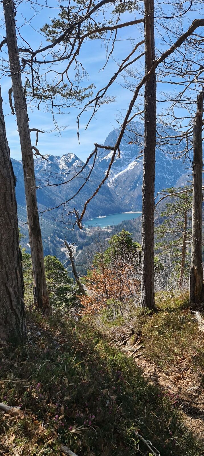 Monte re piccolo - Hiking Friuli-Venezia Giulia - bergfex
