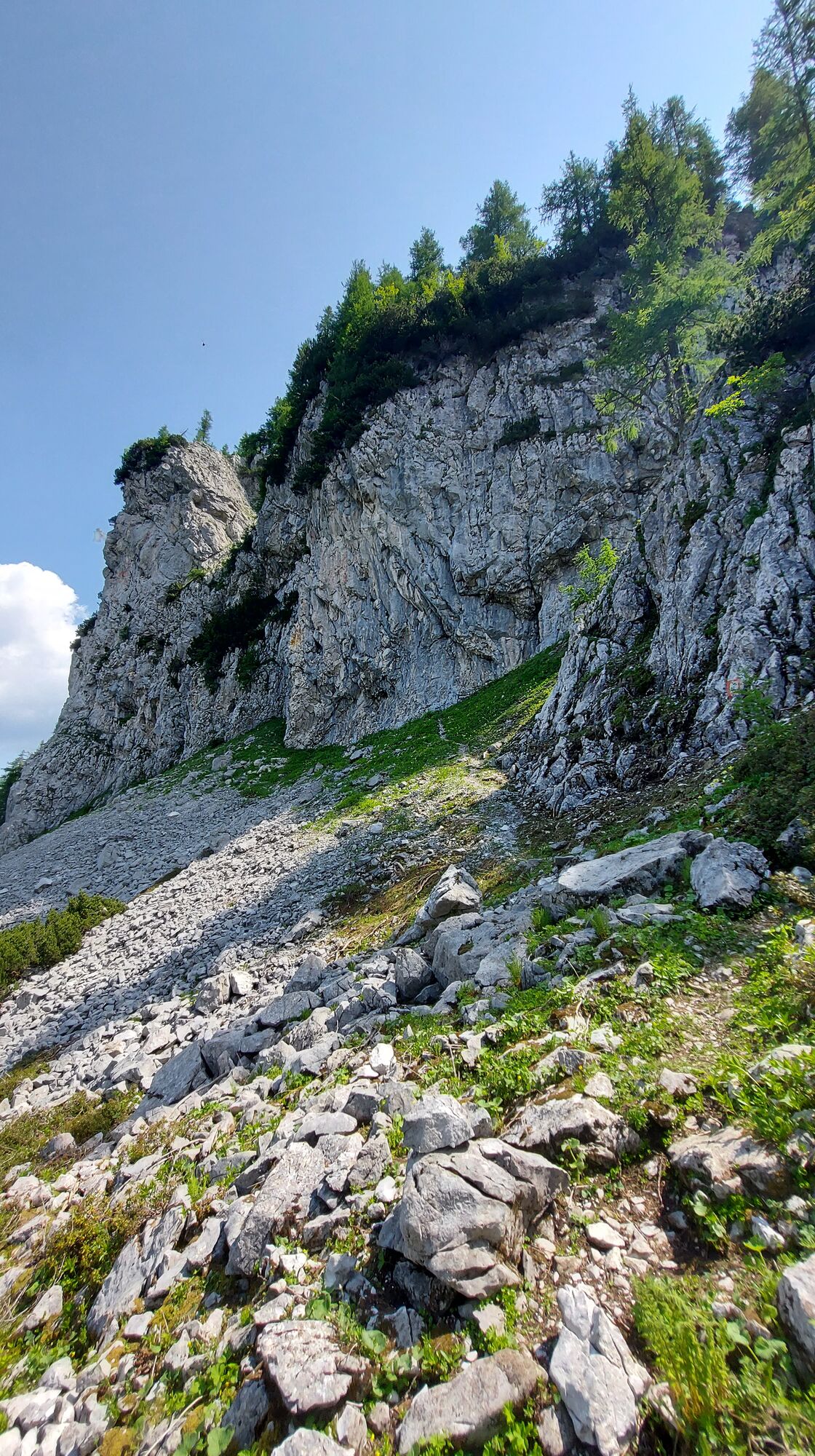 Kreuzmauer über Langstein in den Haller Mauern - BERGFEX - Wanderung ...