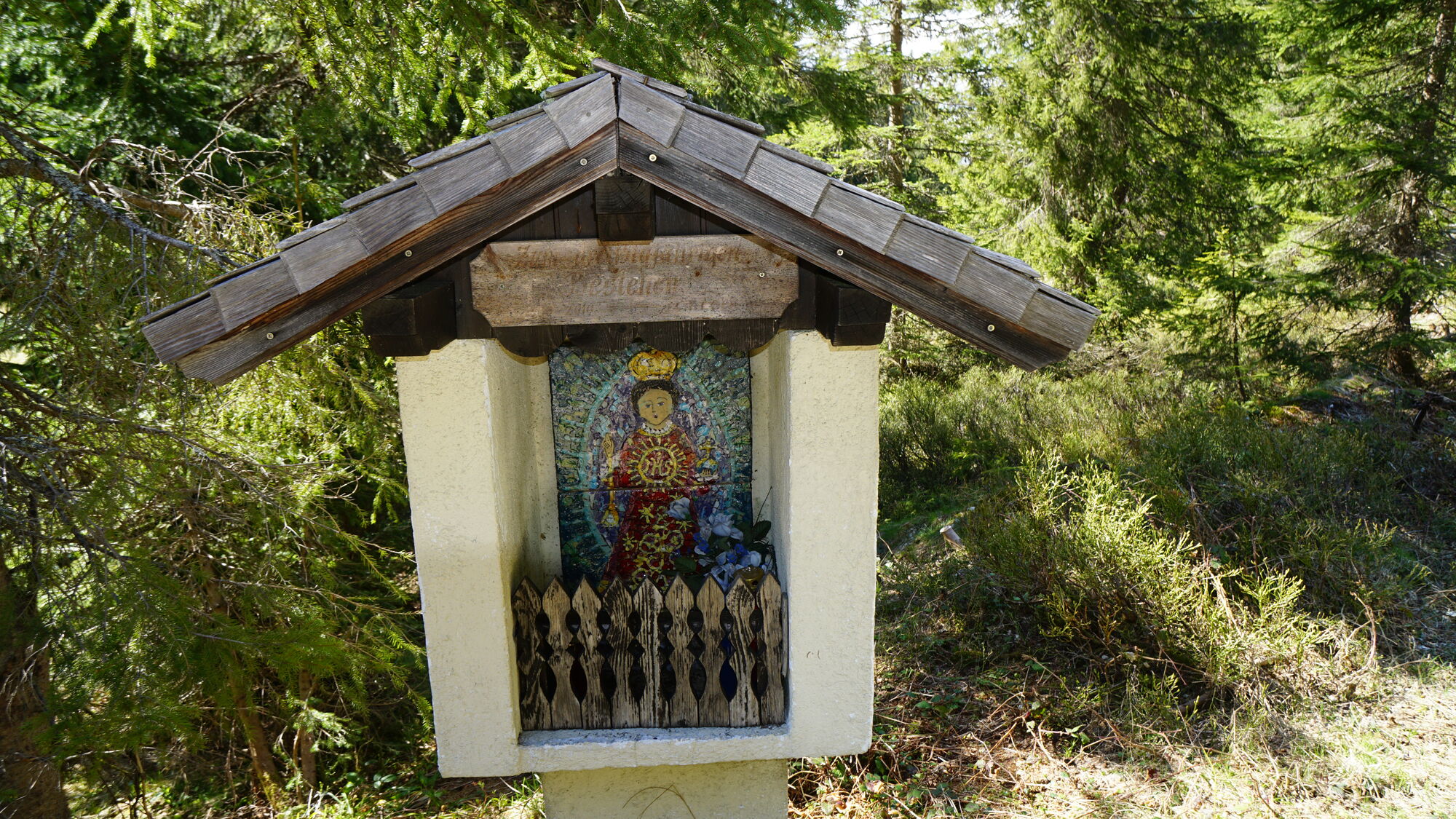 Rund um den Gerzkopf - BERGFEX - E-MTB - Tour Salzburger Land
