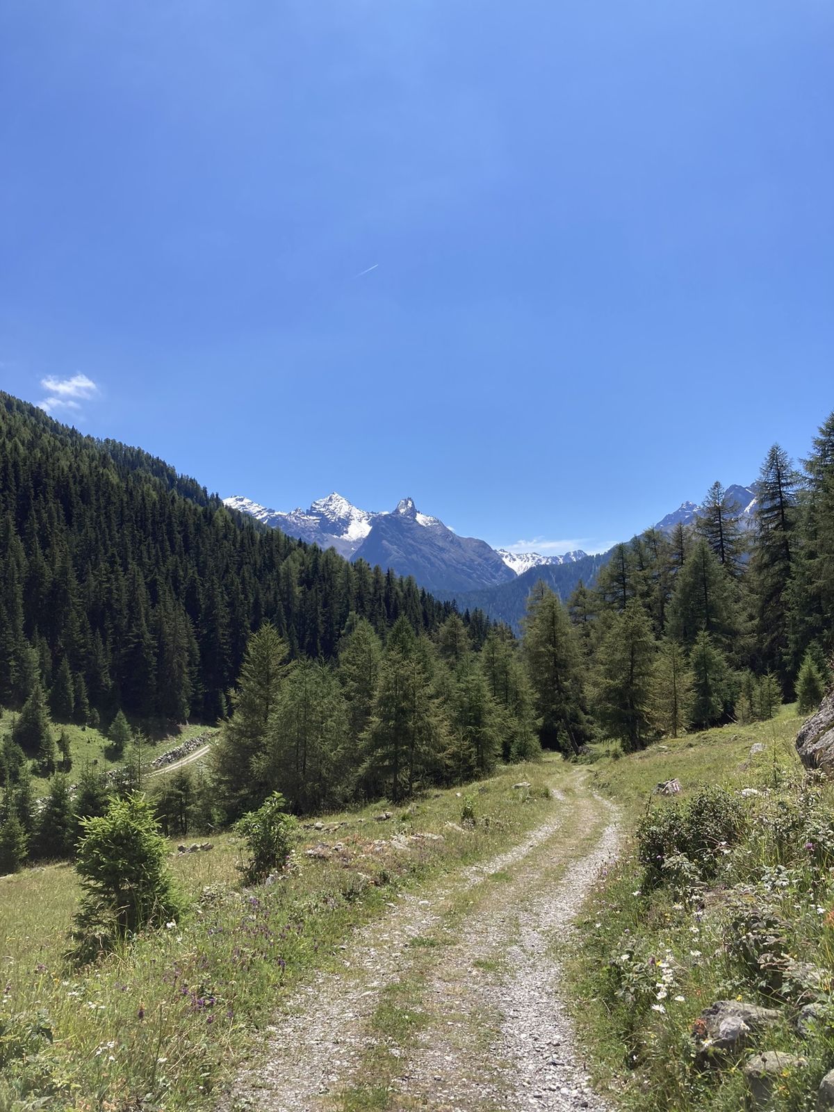 Von Ardez über die Alp Laret nach Ftan - BERGFEX - Wanderung - Tour ...