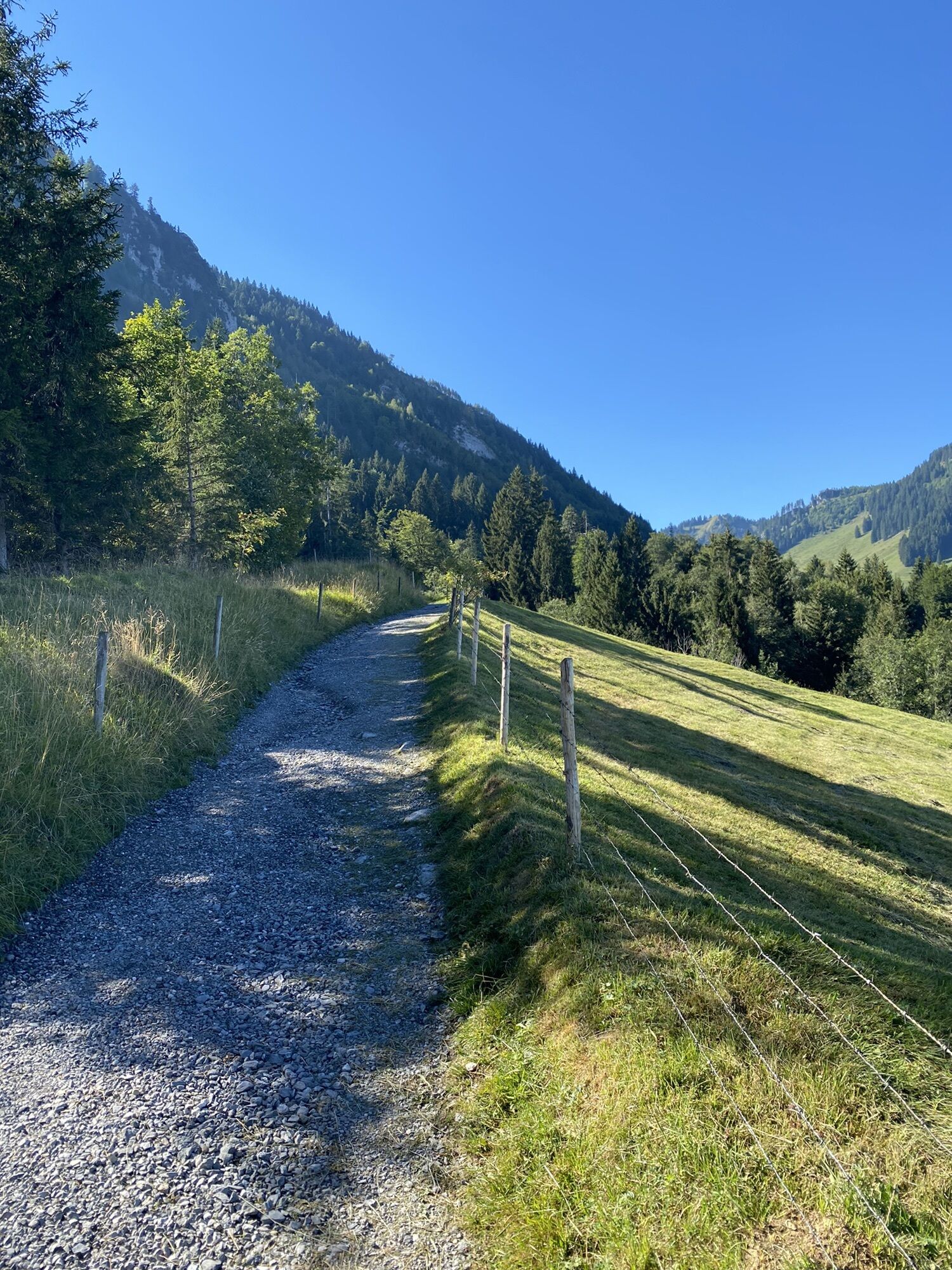 Schöner Mann Alpe über Karren und Schuttanen - BERGFEX - Wanderung ...