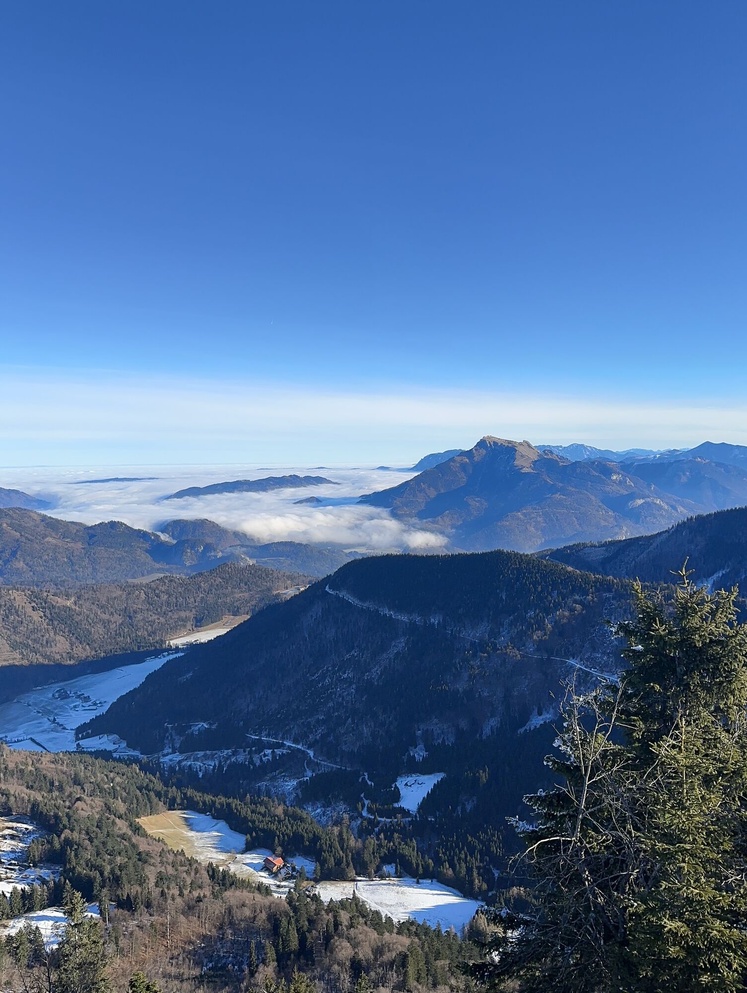 Auf den den Faistenauer Schafberg - Wanderung Salzburger Land - bergfex