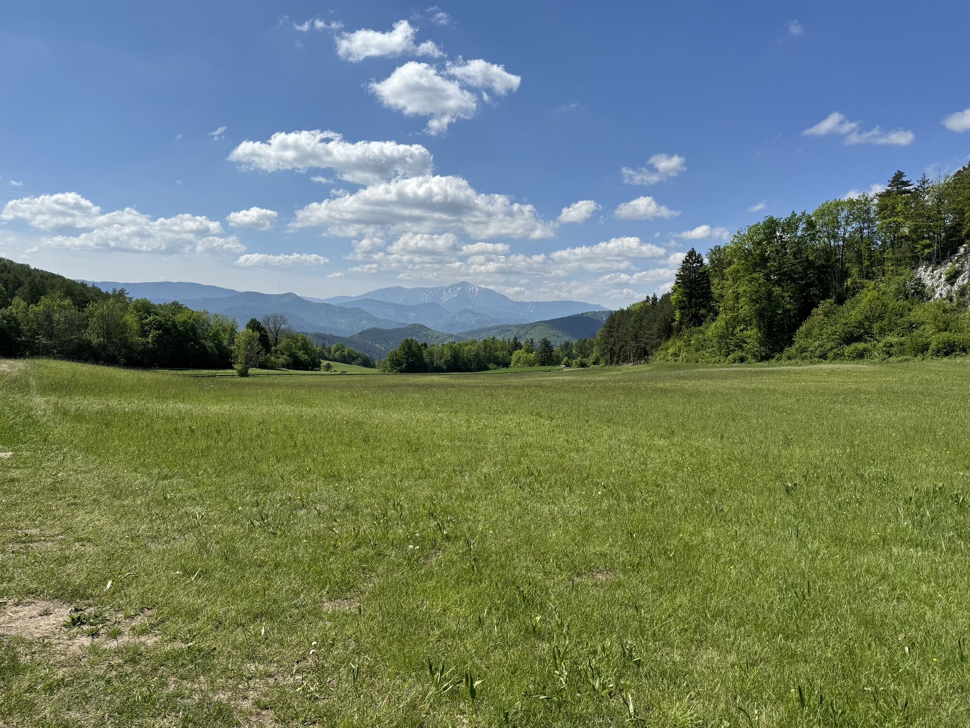 Reischer Jausenstation - Wildschützenloch - Gaisstein - Schwarzwälder ...