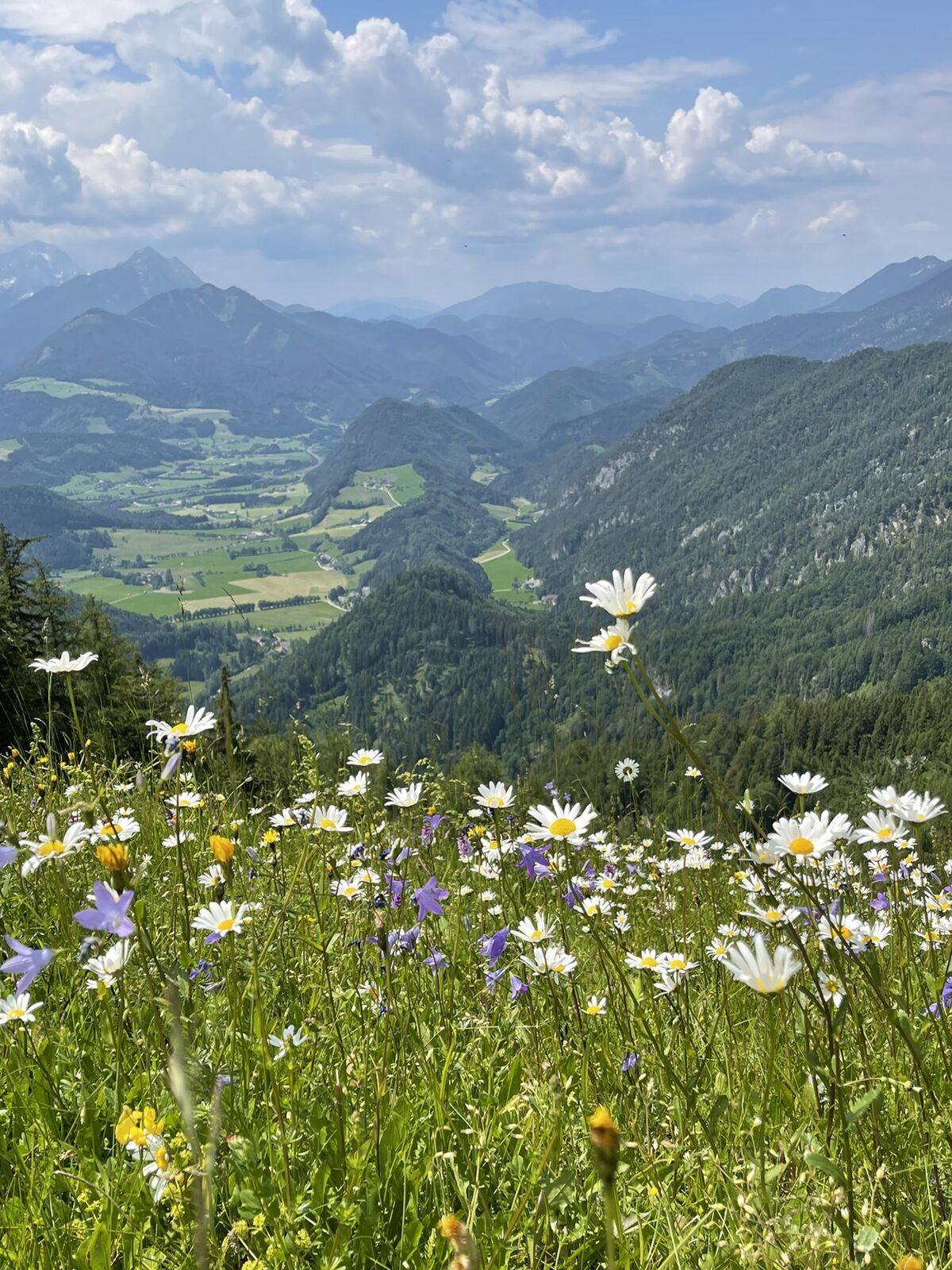 Leitersteig/Kleinerberg/Windischgarsten, Österreich - BERGFEX ...