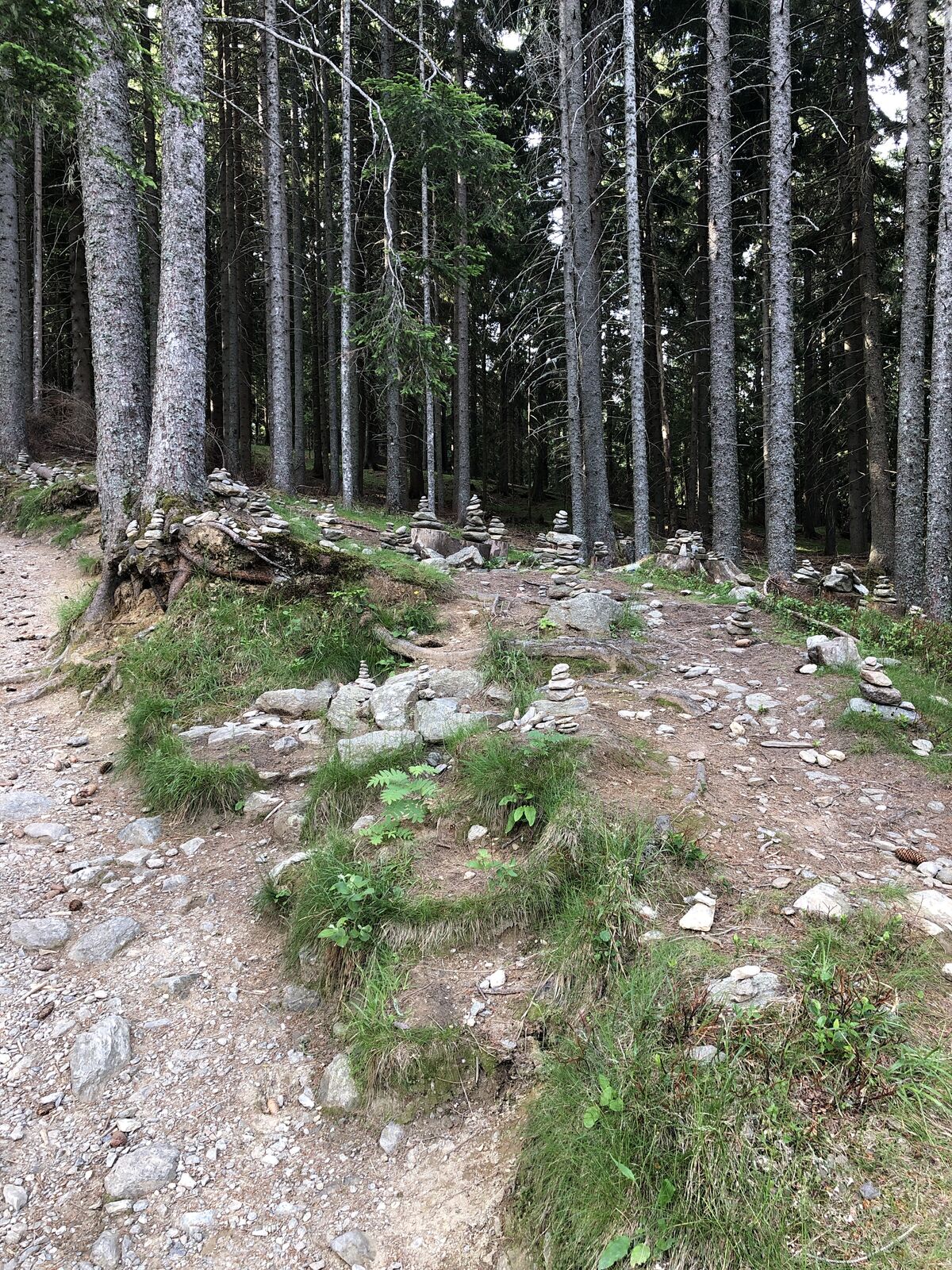 Schenna - Scenna Taser Ifingerhütte Alto Adige/Südtirol/Italia ...