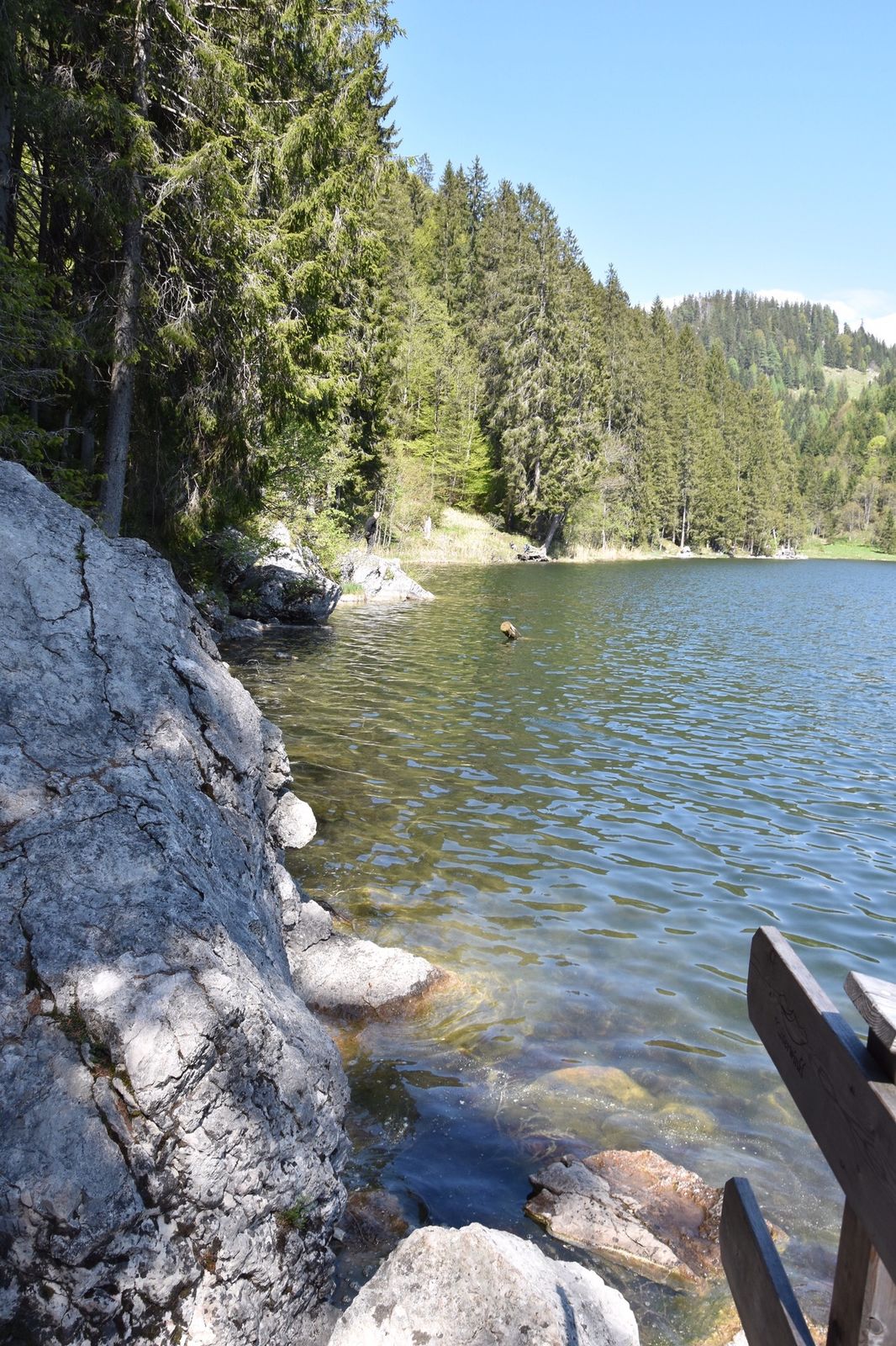 Taubensee über Kroatensteig - BERGFEX - Wanderung - Tour Bayern
