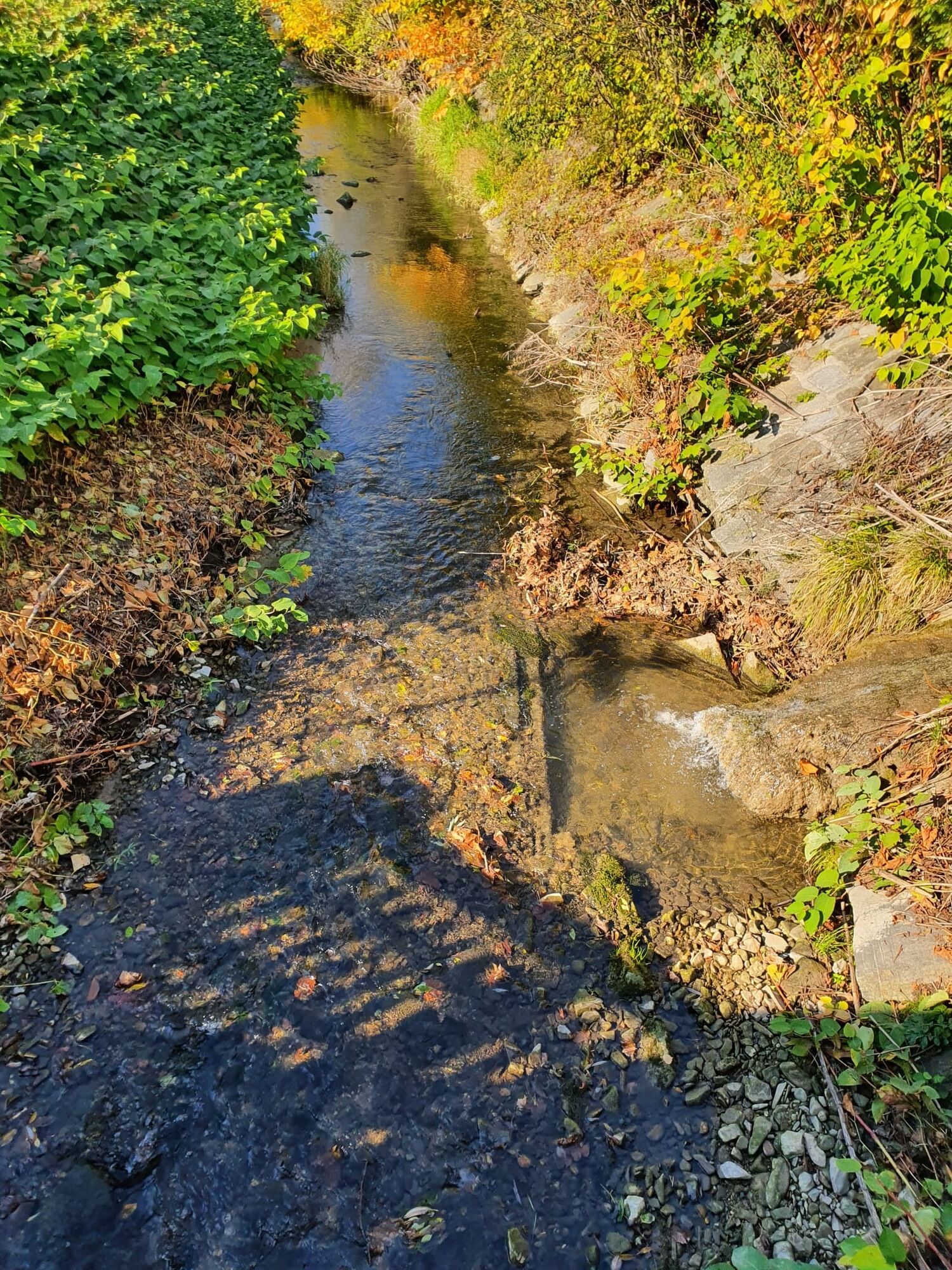 Egon Schiele-Rundweg in Neulengbach - Themenweg Niederösterreich - bergfex