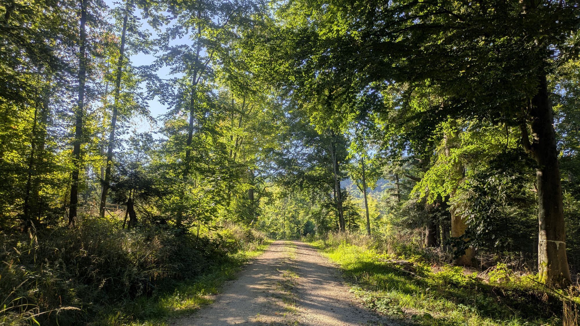Kuchen - Spitzenberg - Bühllauch - Gingen an der Fils - Wanderung Baden ...