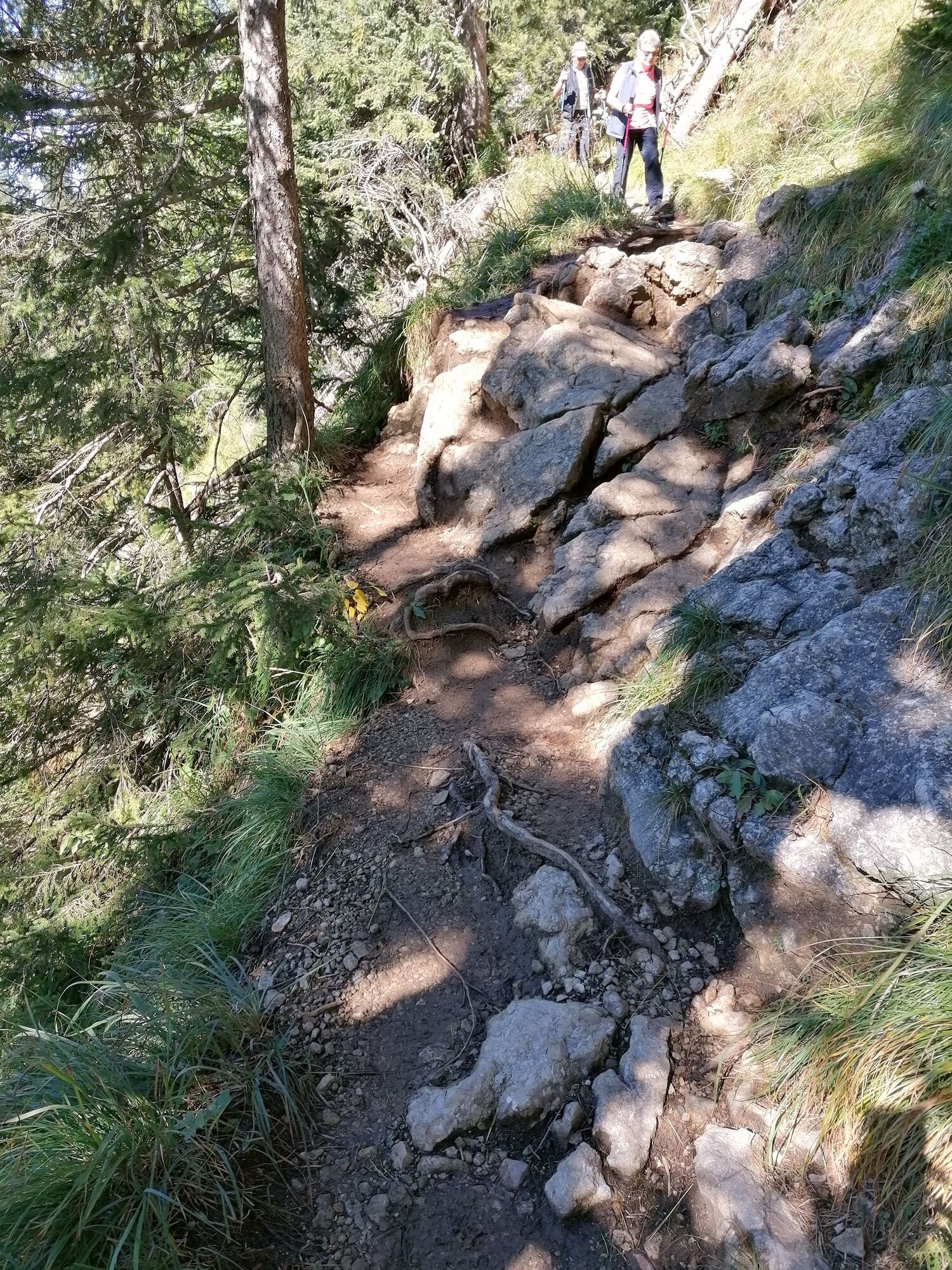 Bleckenau zum Tegelberg - BERGFEX - Wanderung - Tour Bayern
