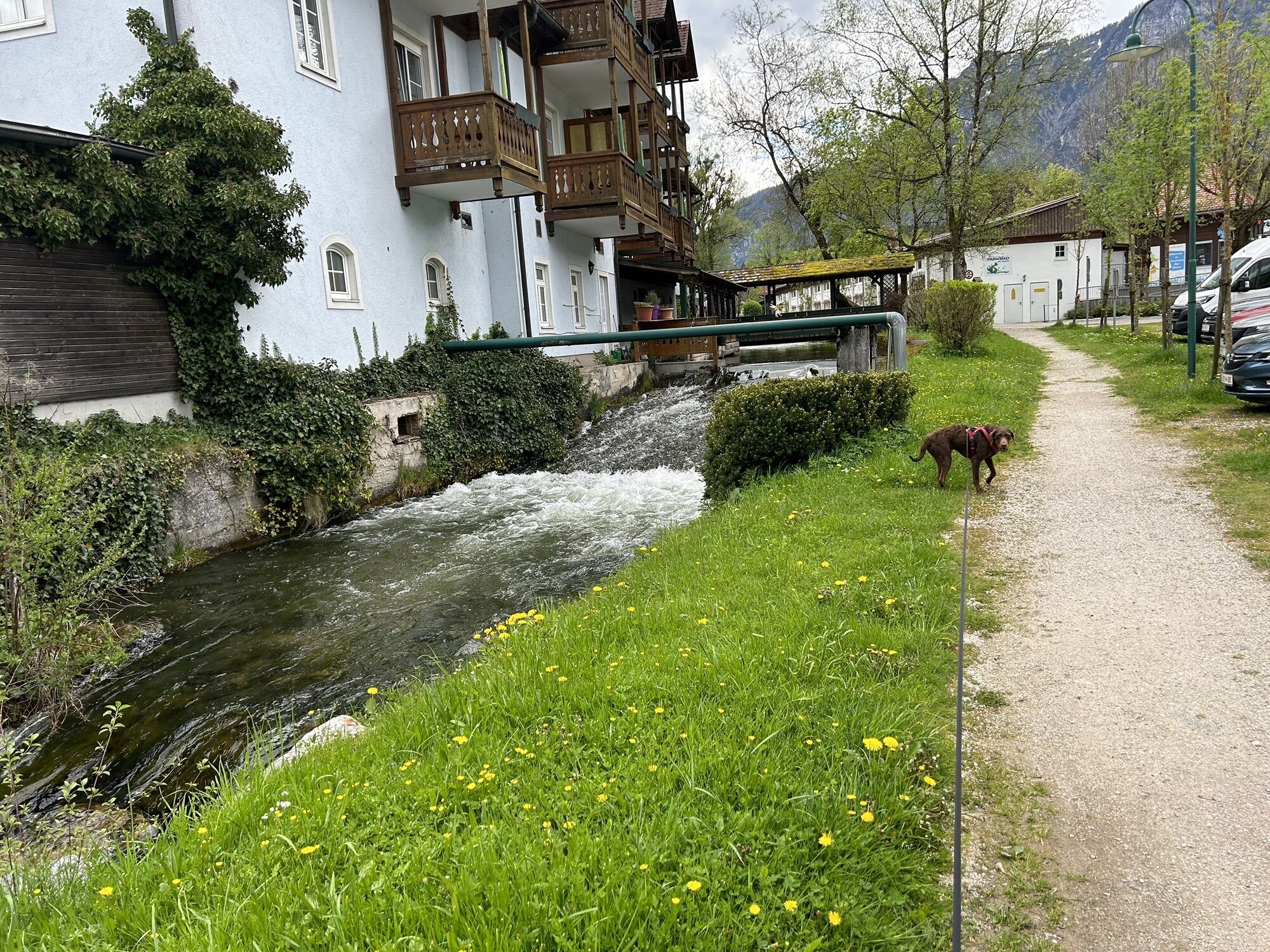 Bad Goisern über Ewige Wand auf Predigstuhl RDW - BERGFEX - Wanderung ...