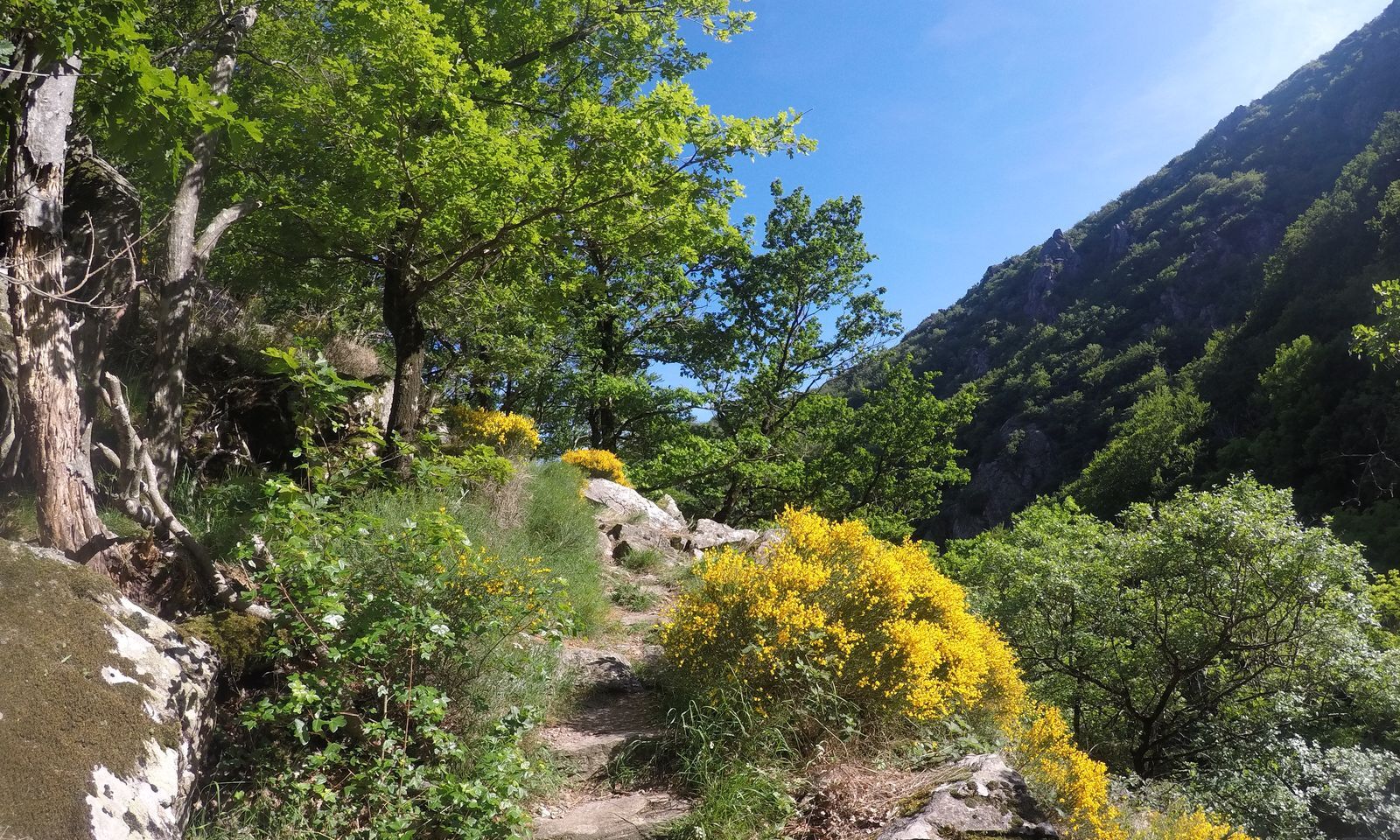 WANDERUNG AUF DEM LEGENDÄREN WEG - Wanderung Okzitanien - bergfex