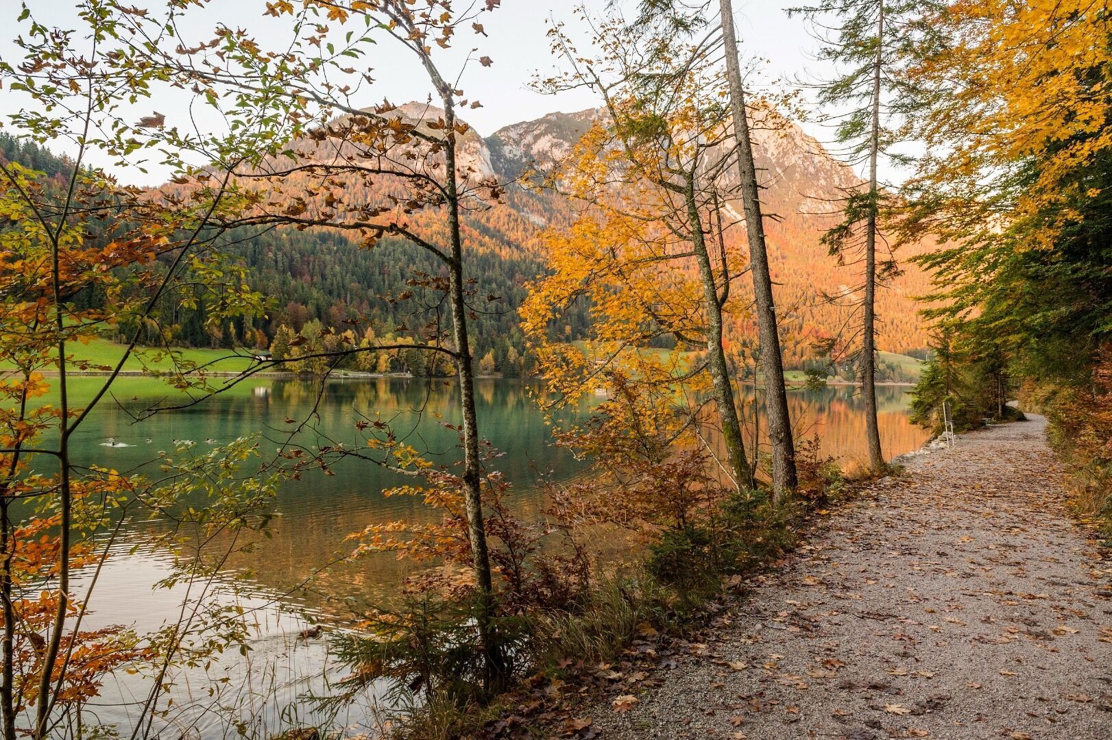 Hintersteiner See Rundweg - BERGFEX - Wanderung - Tour Tirol