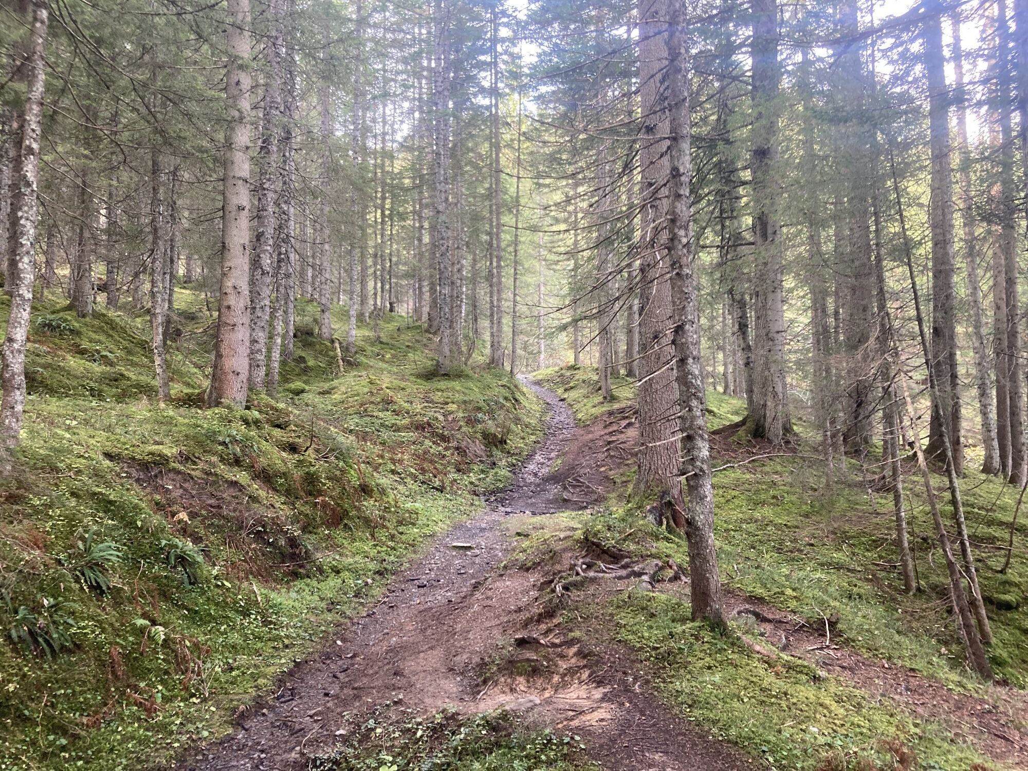 Karalm, St. Martin Tennengebirge - BERGFEX - Wanderung - Tour ...