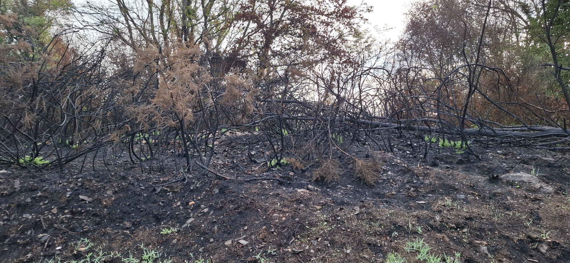 A Calzada - A Chousa da Costa - A Eira do Azor - A Granxa de San Lázaro ...