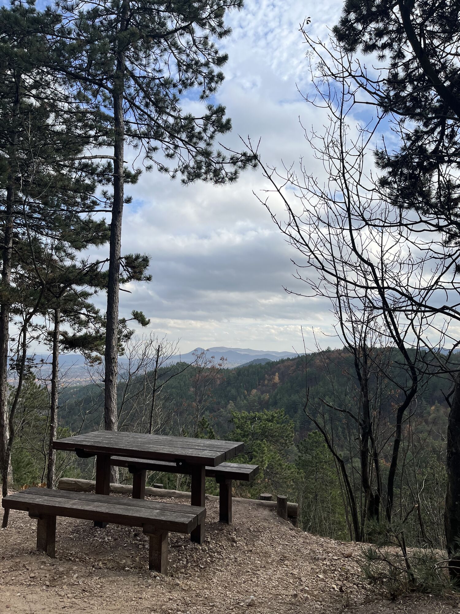 Pilisvörösvár - Ligeti Szent Család templom - Nagy-Kopasz-hegy - Homok-hegy - Wandelen Pest ...
