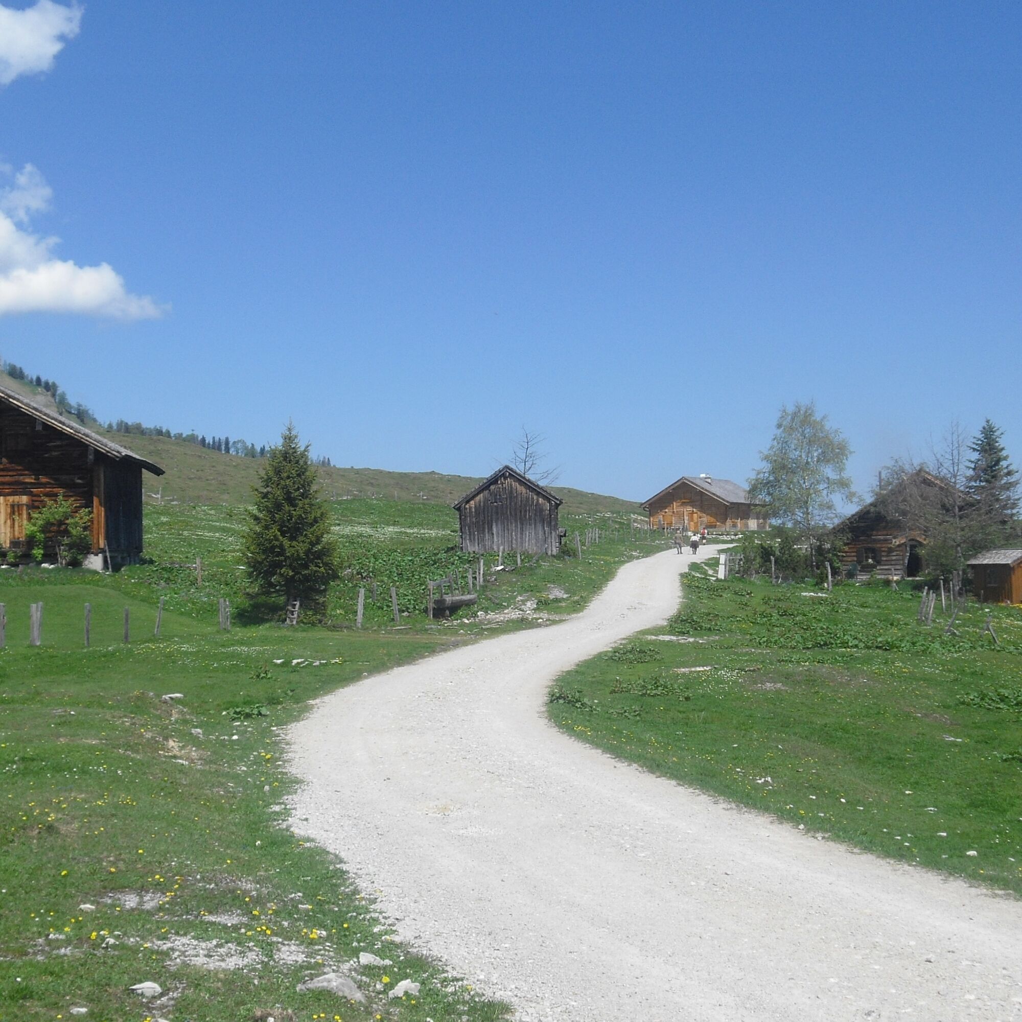 Abtenau: Postalm Rundweg 4 - über Rosserhütte und Stroblerhütte ...