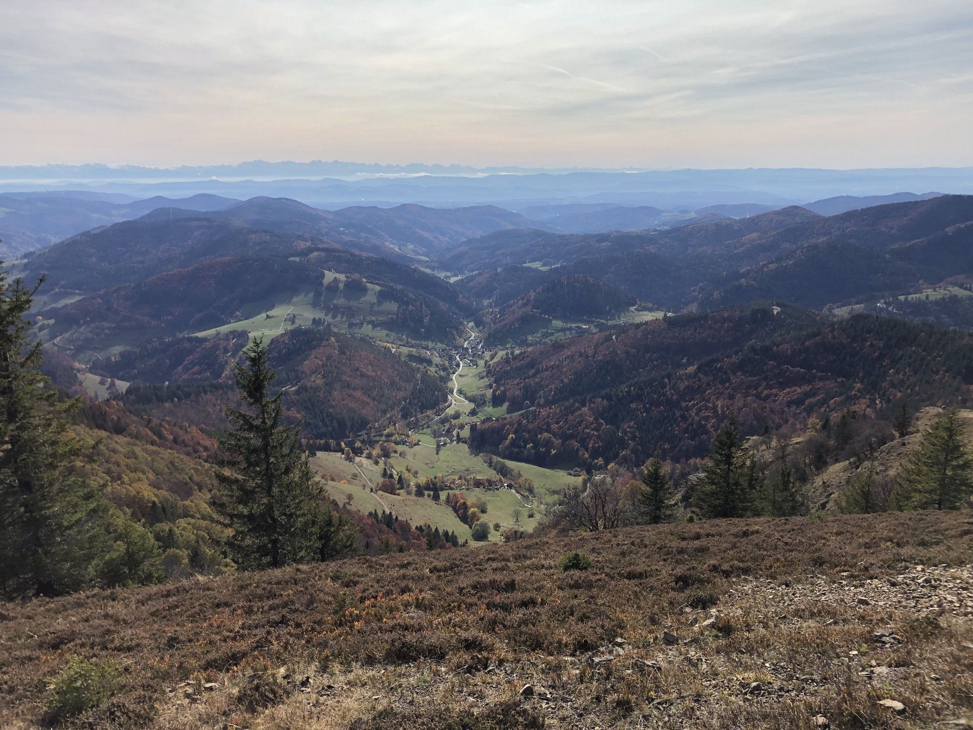 Belchen Talstation hin und zurück - BERGFEX - Wanderung - Tour Baden-Württemberg