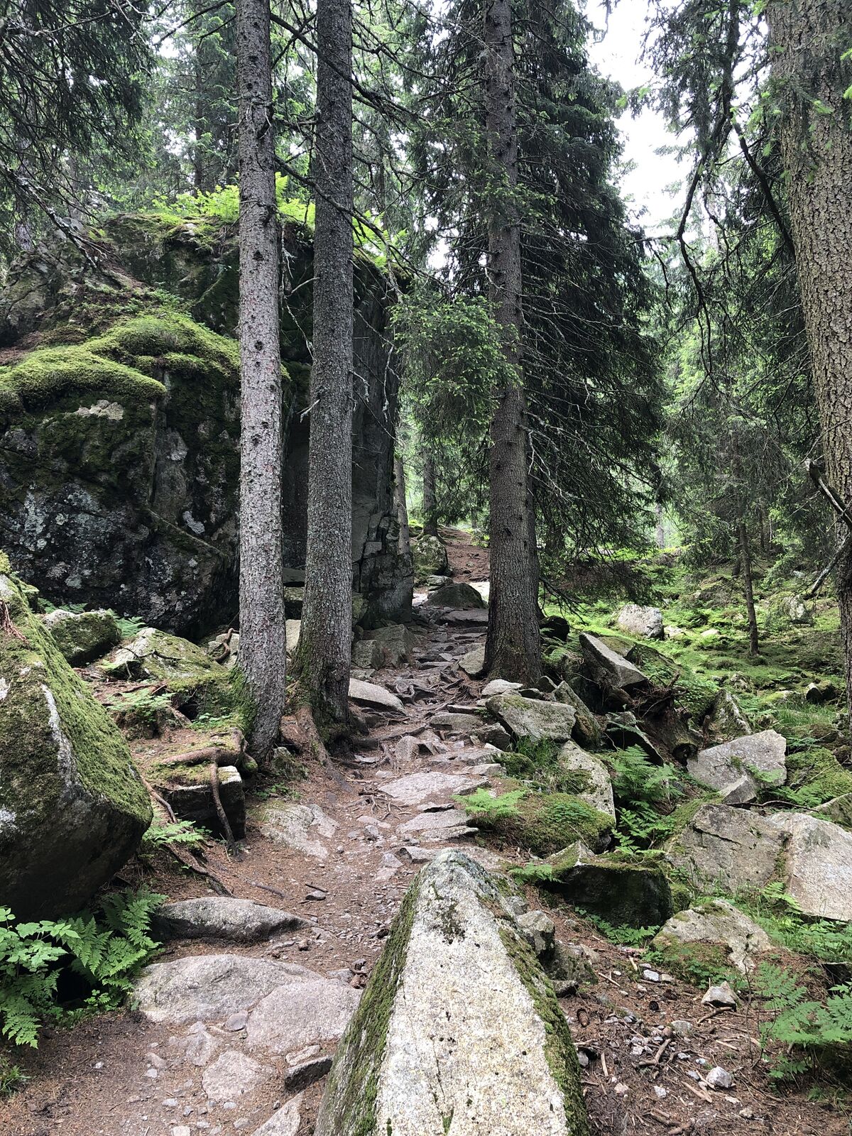 Schenna - Scenna Taser Ifingerhütte Alto Adige/Südtirol/Italia ...