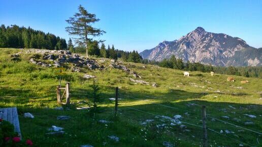 Abtenau: Postalm Rundweg 4 - über Rosserhütte und Stroblerhütte ...