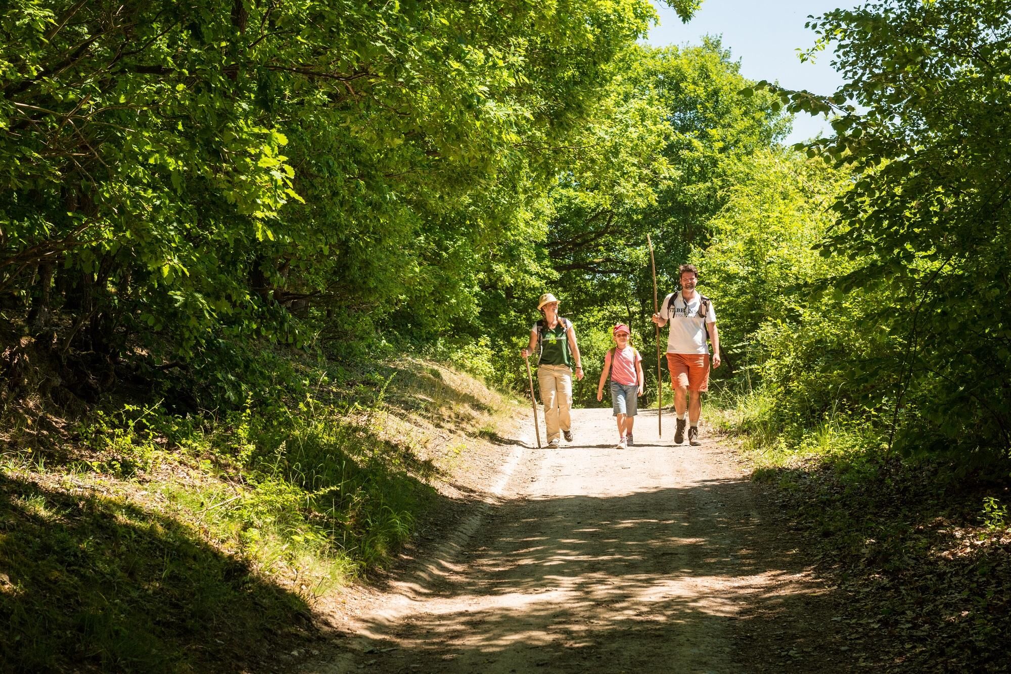 Dernau Krausberg | Große Gipfelrunde - BERGFEX - Wanderung - Tour ...