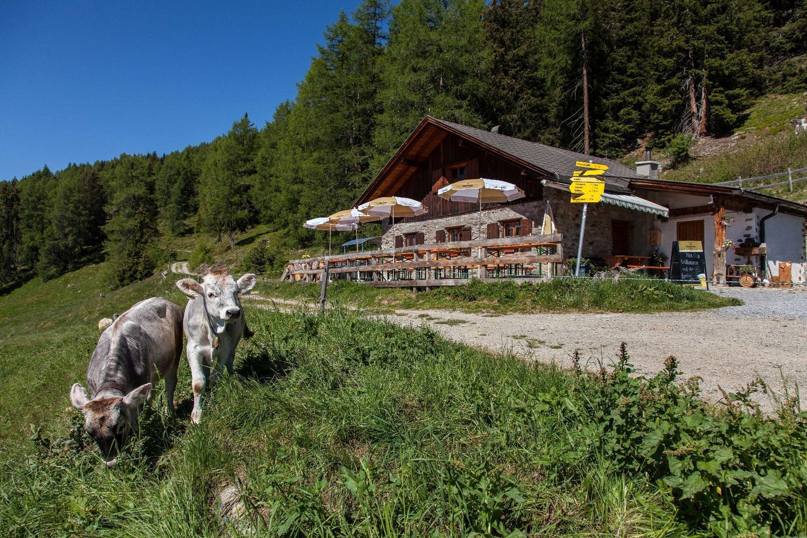 Panoramawanderung Larcher Alm - Wanderung Tirol - bergfex