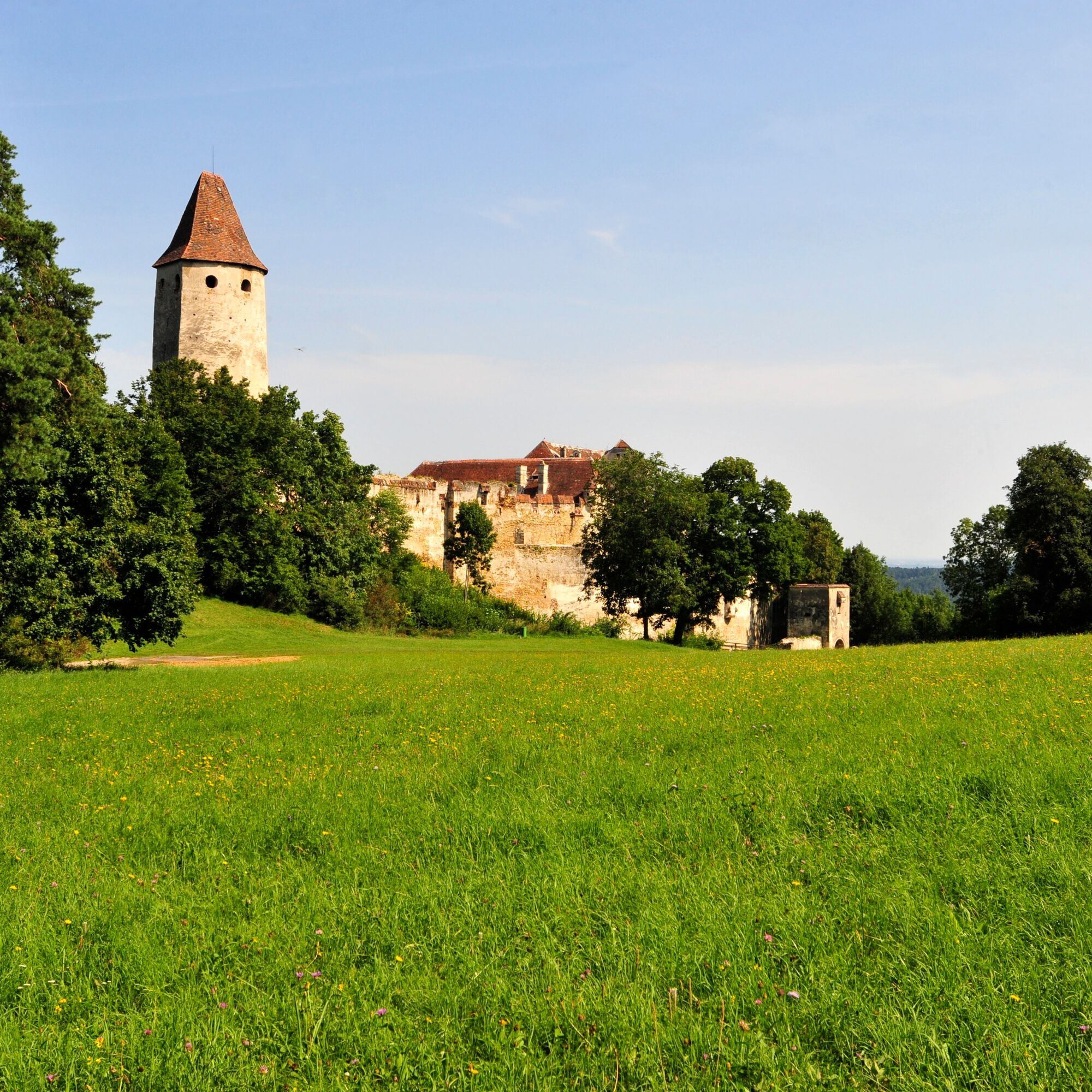 Waldlehrpfad Seebenstein - Themenweg Niederösterreich - bergfex