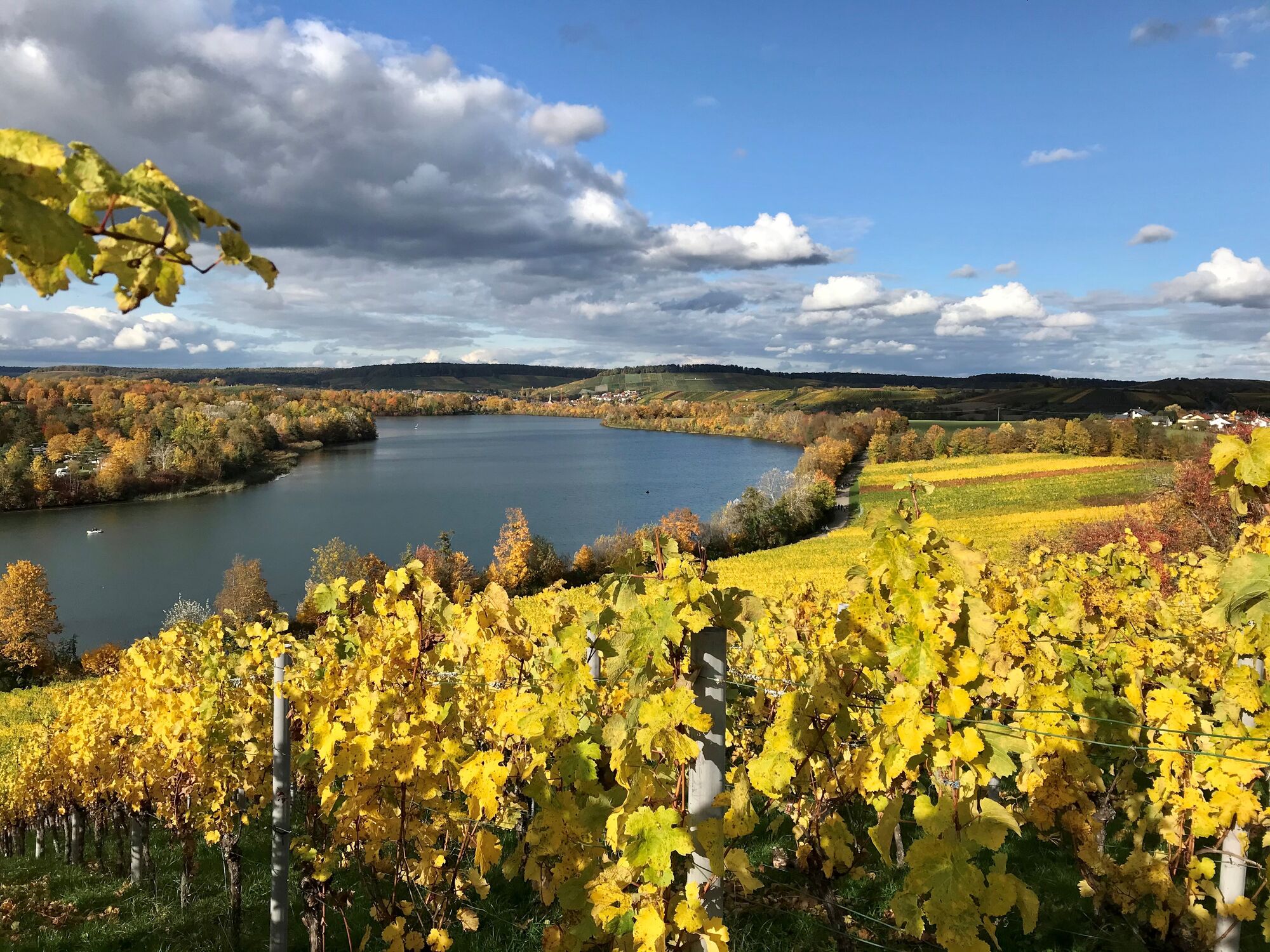 BERGFEX-Sehenswürdigkeiten - Breitenauer See - Obersulm - Ausflugsziel ...