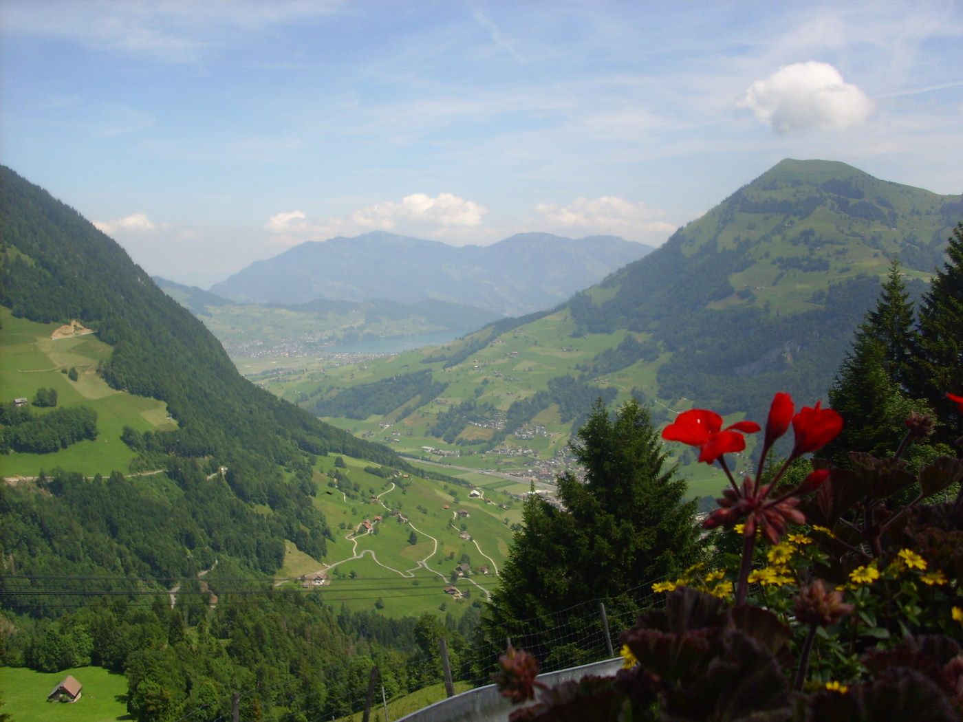Wirzweli – Schwändli – Dallenwil - Wanderung Luzern ...